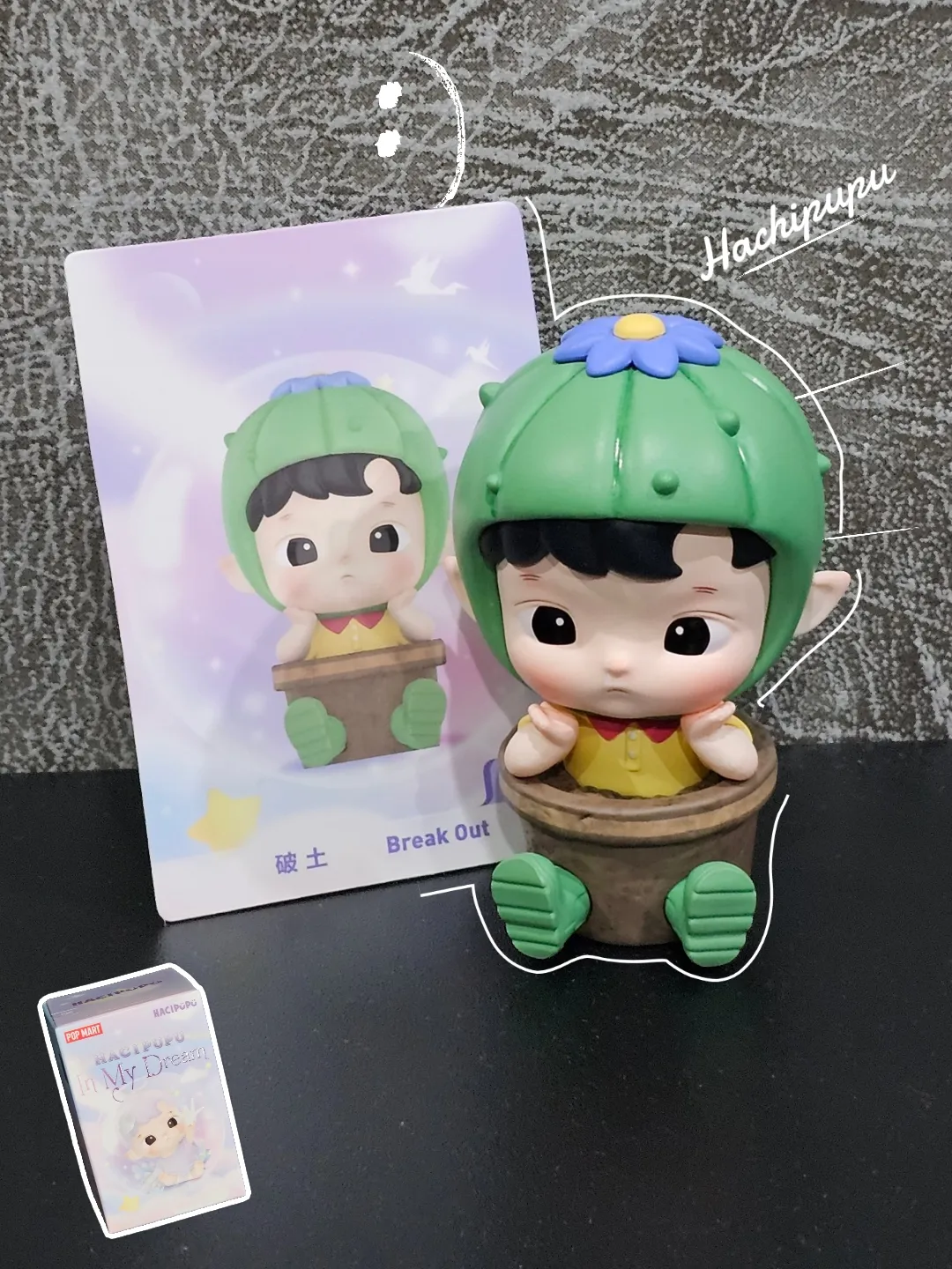 Hachipupu Celebration Series - การค้นหาใน Lemon8