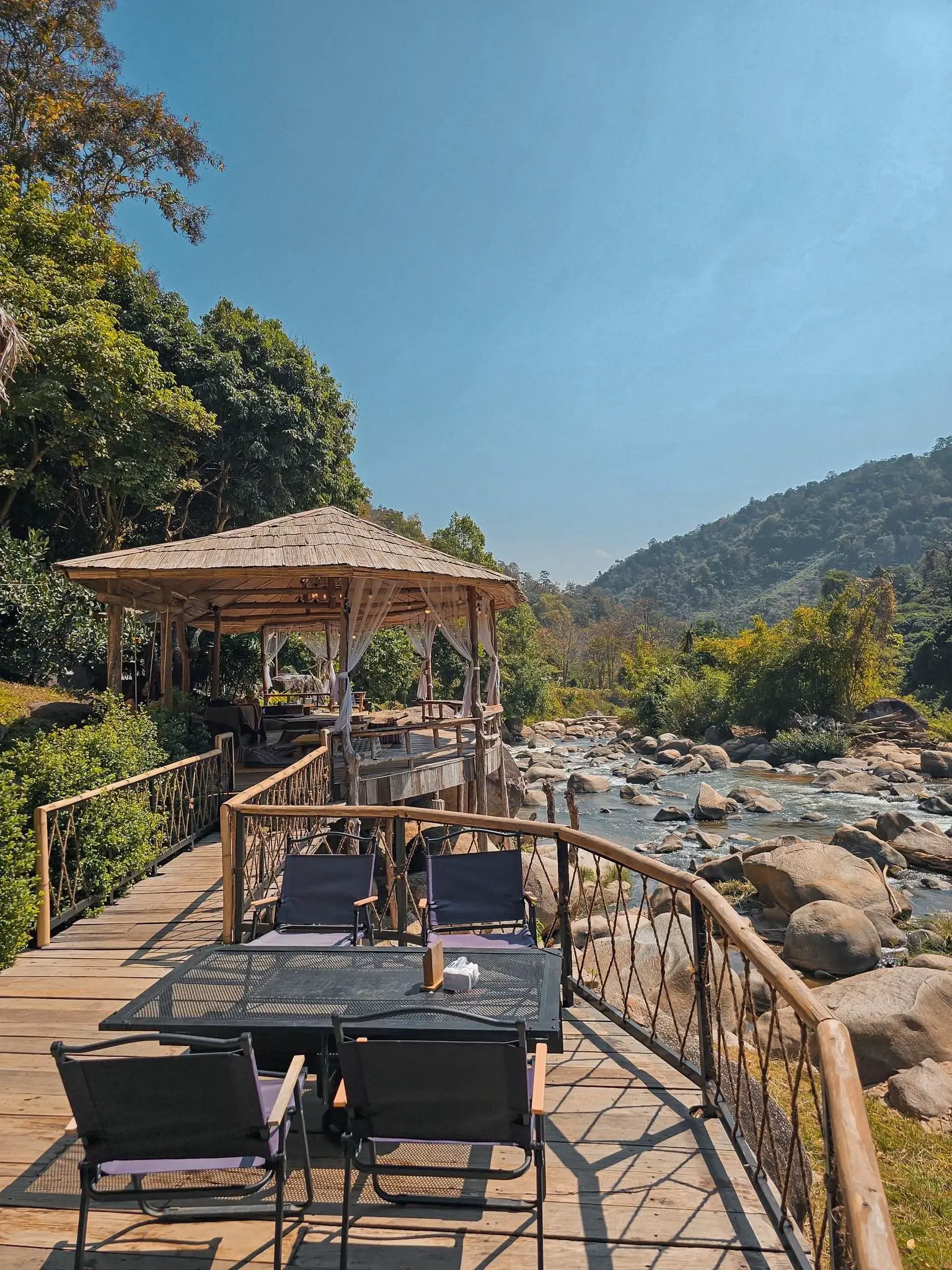 Stay Wild & Cafe🍃 | แกลเลอรีที่โพสต์โดย แอ่วกับกิ่งแก้ว | Lemon8