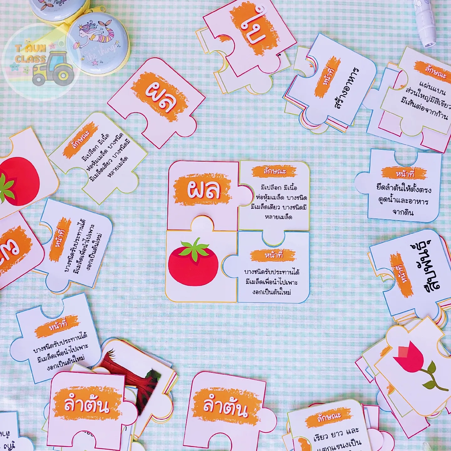 🌷จิ๊กซอว์ส่วนประกอบพืช | แกลเลอรีที่โพสต์โดย T Aun Class | Lemon8