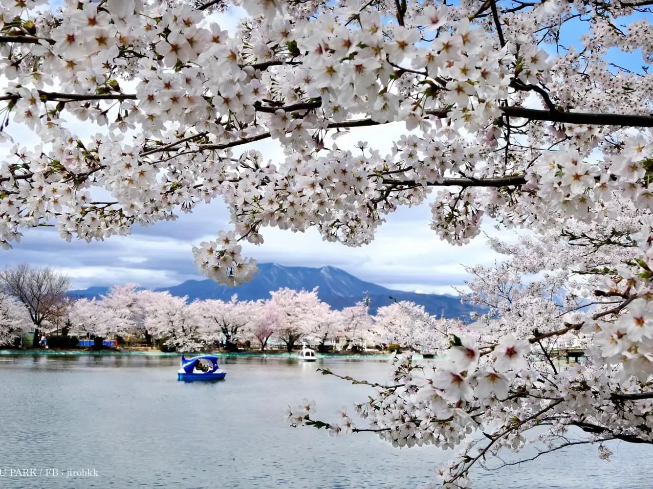 Japan | แกลเลอรีที่โพสต์โดย Go with Ko | Lemon8