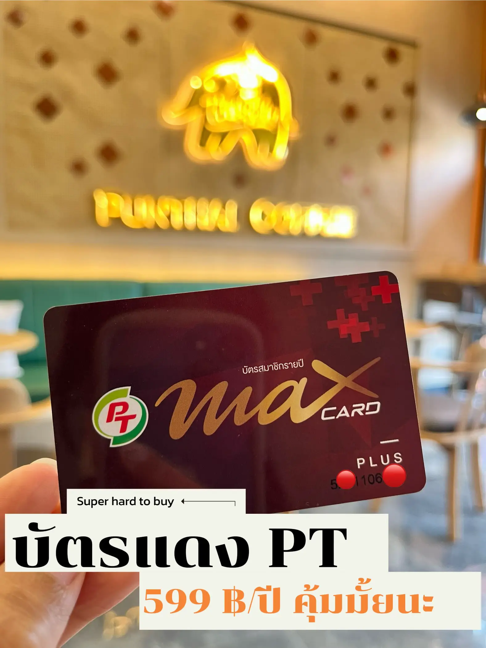 บัตรแดง PT 599 ฿/ปี คุ้มมั้ยนะ | แกลเลอรีที่โพสต์โดย atom | Lemon8