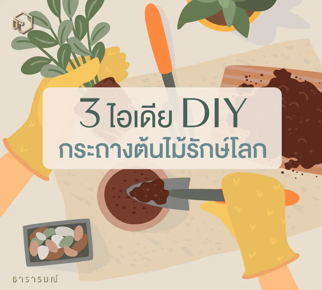 พาชม! 3 ไอเดีย 𝐃𝐈𝐘 กระถางต้นไม้รักษ์โลก 🌍 | แกลเลอรีที่โพสต์โดย Tararom Estate | Lemon8