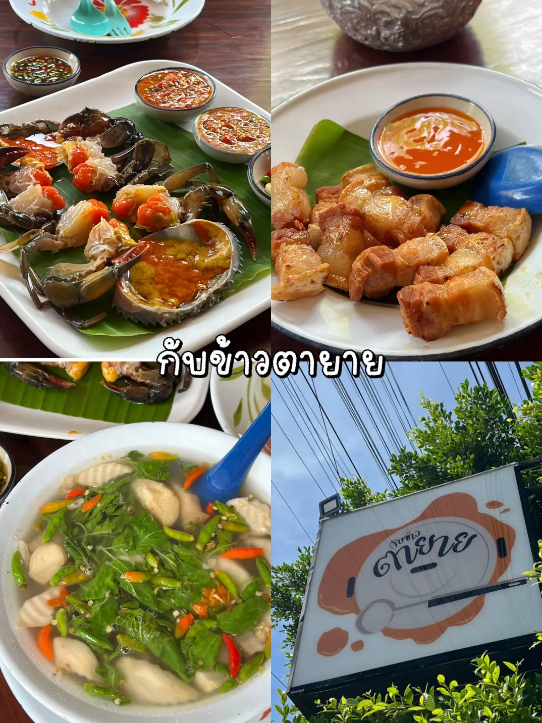 2วัน1คืน ที่ปราณบุรี ชิลสุดๆ🚲💗🎈☀️🌴 | แกลเลอรีที่โพสต์โดย buamapping | Lemon8