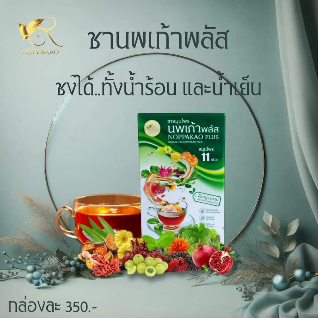 สมุนไพรนพเก้าชาชง11ชนิด | แกลเลอรีที่โพสต์โดย หนึ่งนพเก้า789 | Lemon8