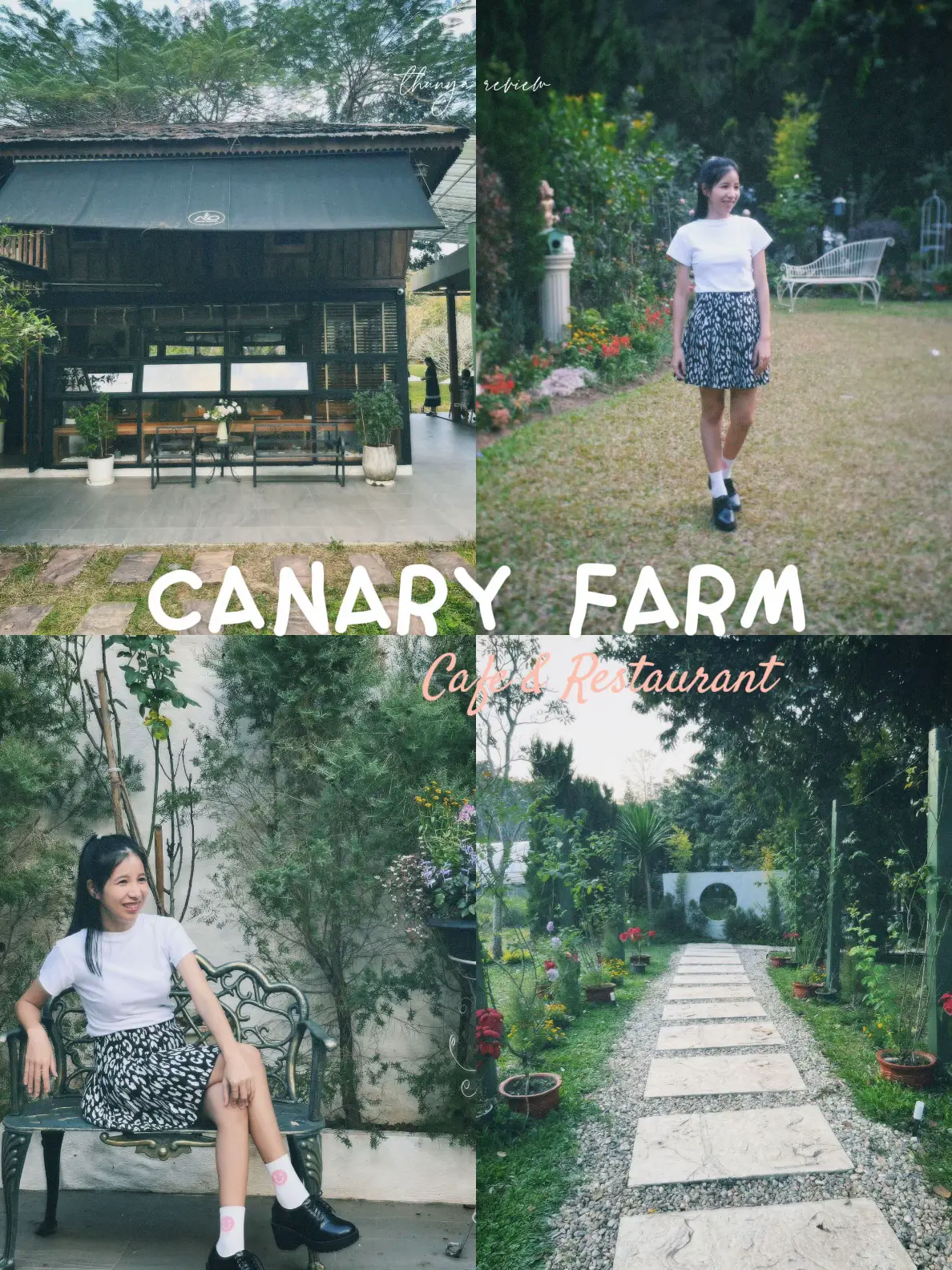 Canary Cafe & Restaurant | แกลเลอรีที่โพสต์โดย MA'MA DIARY 💕 | Lemon8