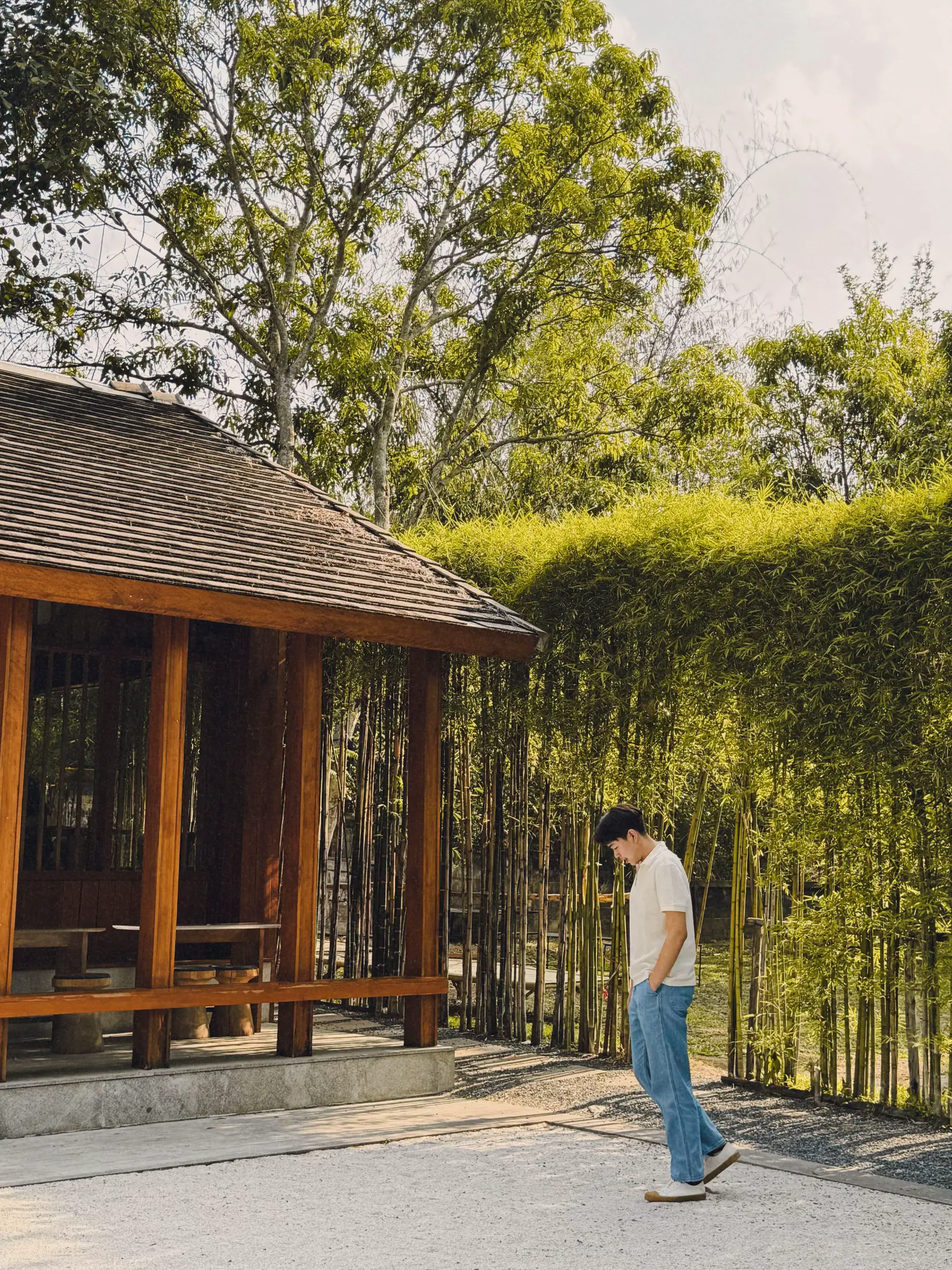 The Baristro Asian Style | แกลเลอรีที่โพสต์โดย Mike | Lemon8