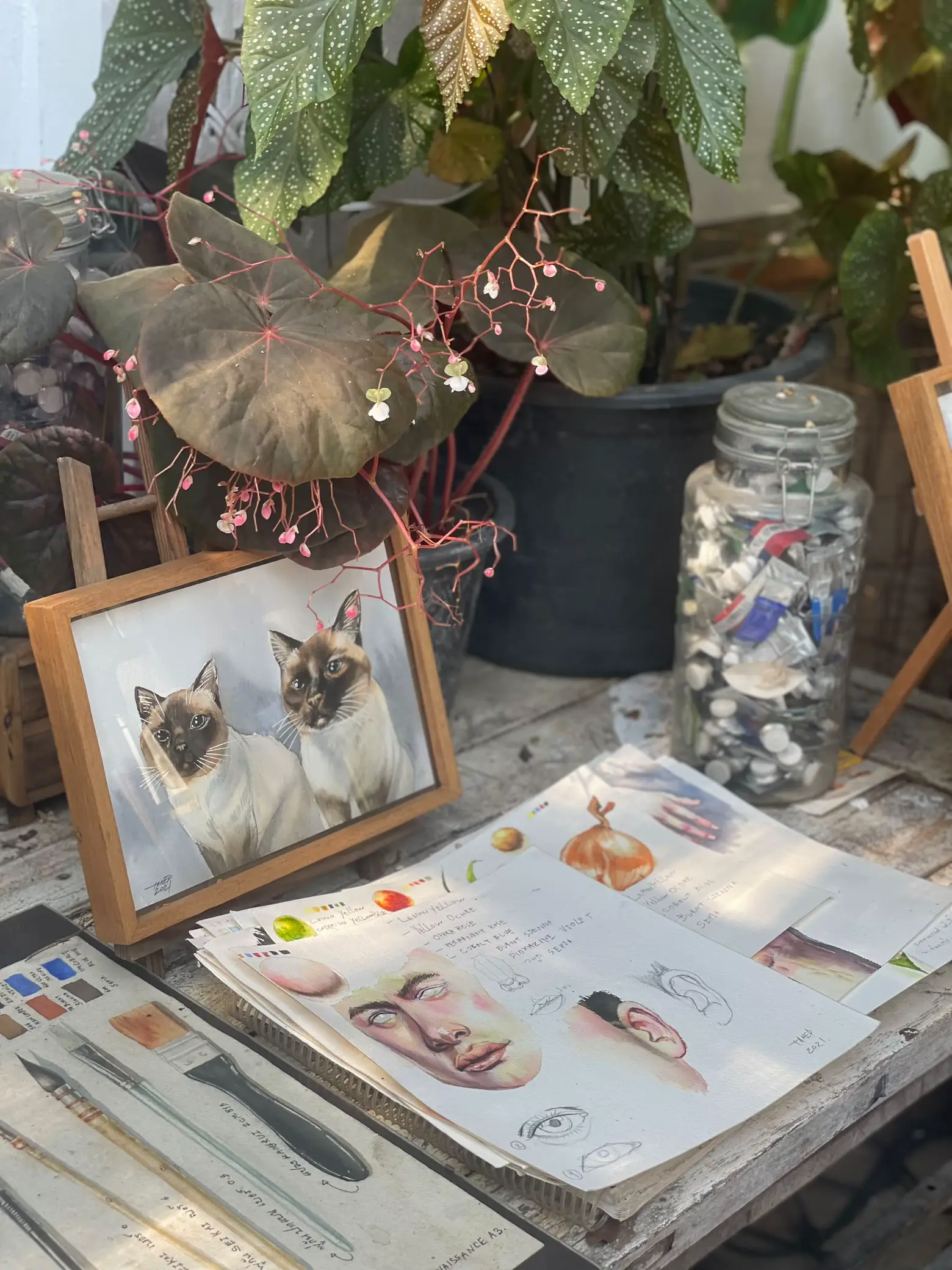 เที่ยวเชียงใหม่คนเดียว 🍋 | แกลเลอรีที่โพสต์โดย patch_ | Lemon8