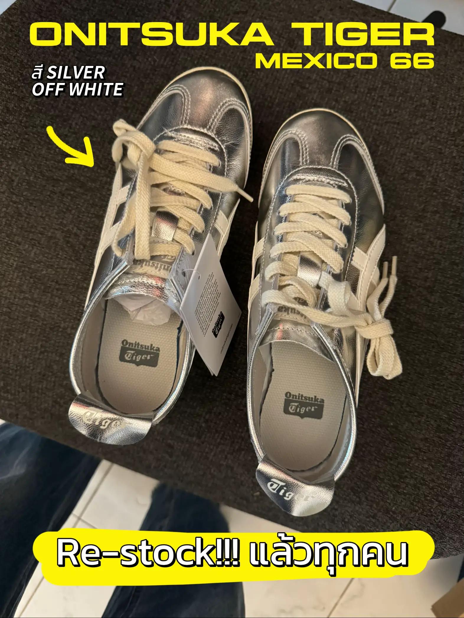 Silver Wolf ราคา - การค้นหาใน Lemon8