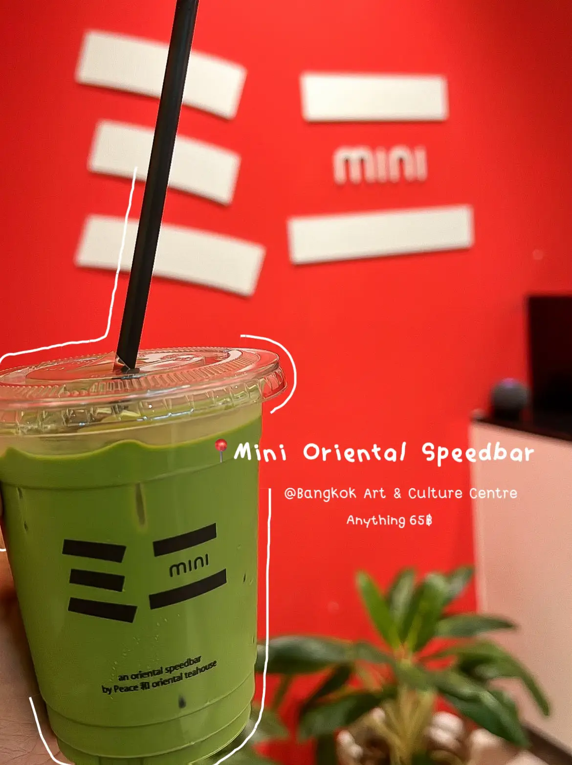 mini ミニ oriental speedbar 🍃🍵 | คาเฟ่หอศิลป์ราคาดีเวอร์! | แกลเลอรีที่ ...