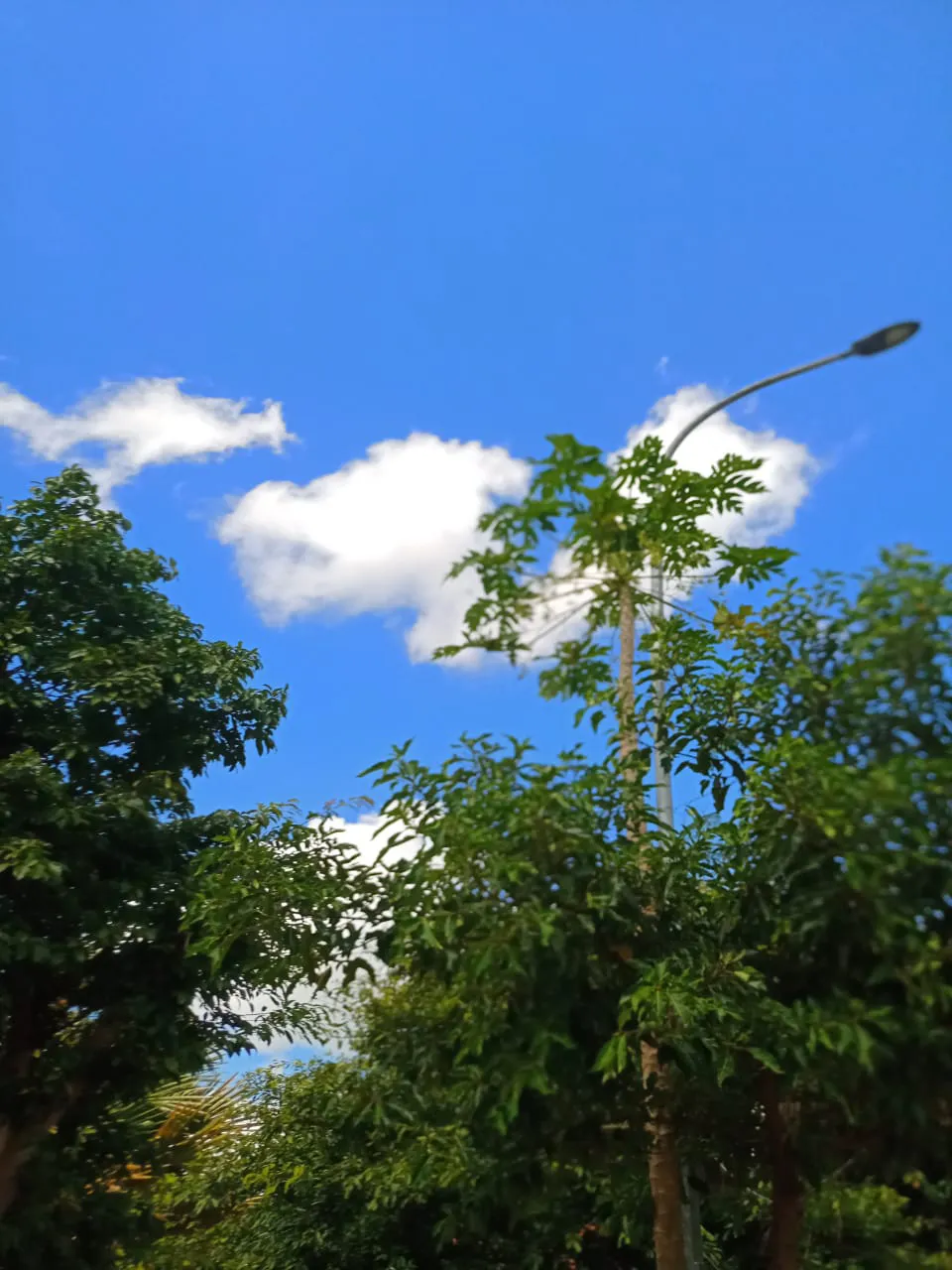 keindahan😍💓 | Galeri diposting oleh FREYA JKT48 | Lemon8