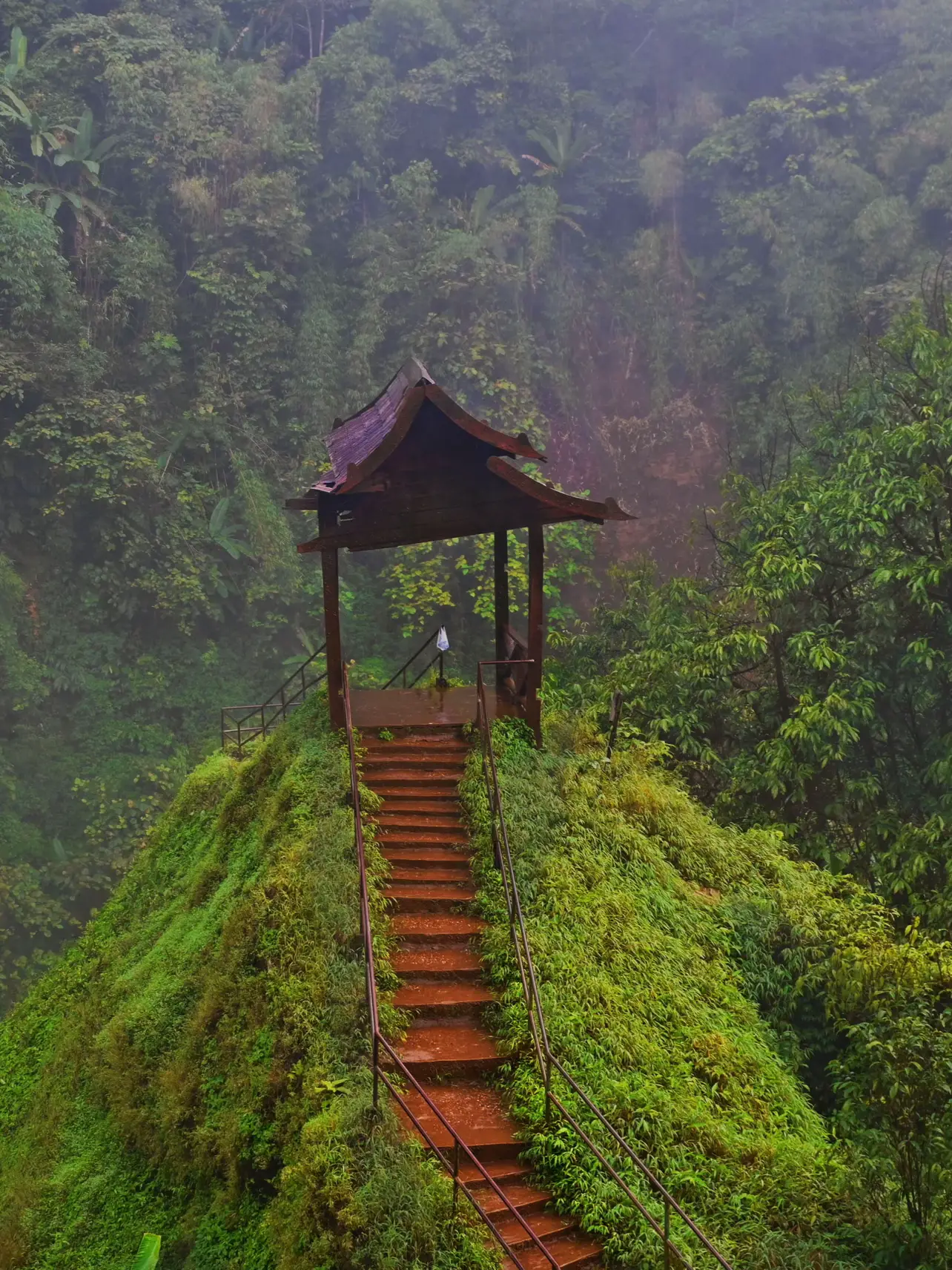 ลาวใต้ น้ำตกตาดเยือง | แกลเลอรีที่โพสต์โดย WithMyShutter | Lemon8