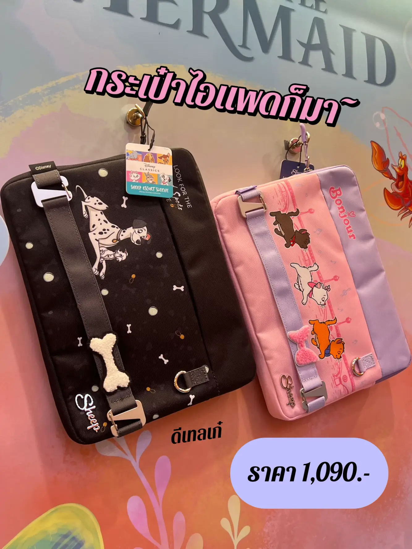 🐏 พาดูของจริง Apple Sheep x Disney Animals | แกลเลอรีที่โพสต์โดย かれん˖⋆𓂃 ...