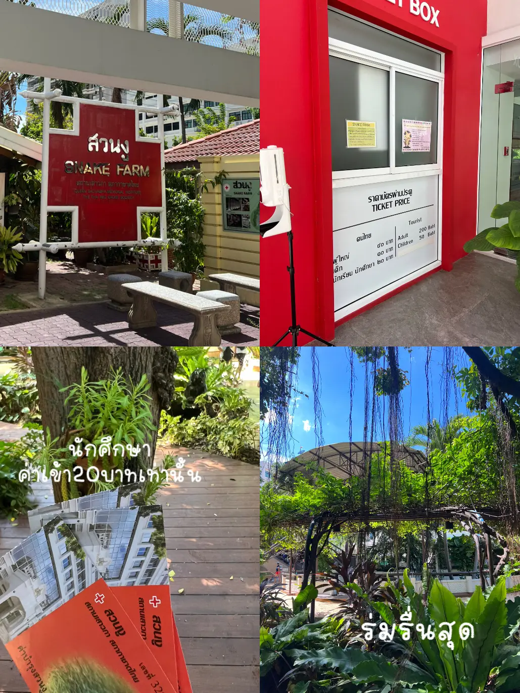 เที่ยวสวนงู🐍💨 ค่าเข้า20บาท!! | แกลเลอรีที่โพสต์โดย roployro🍮 | Lemon8