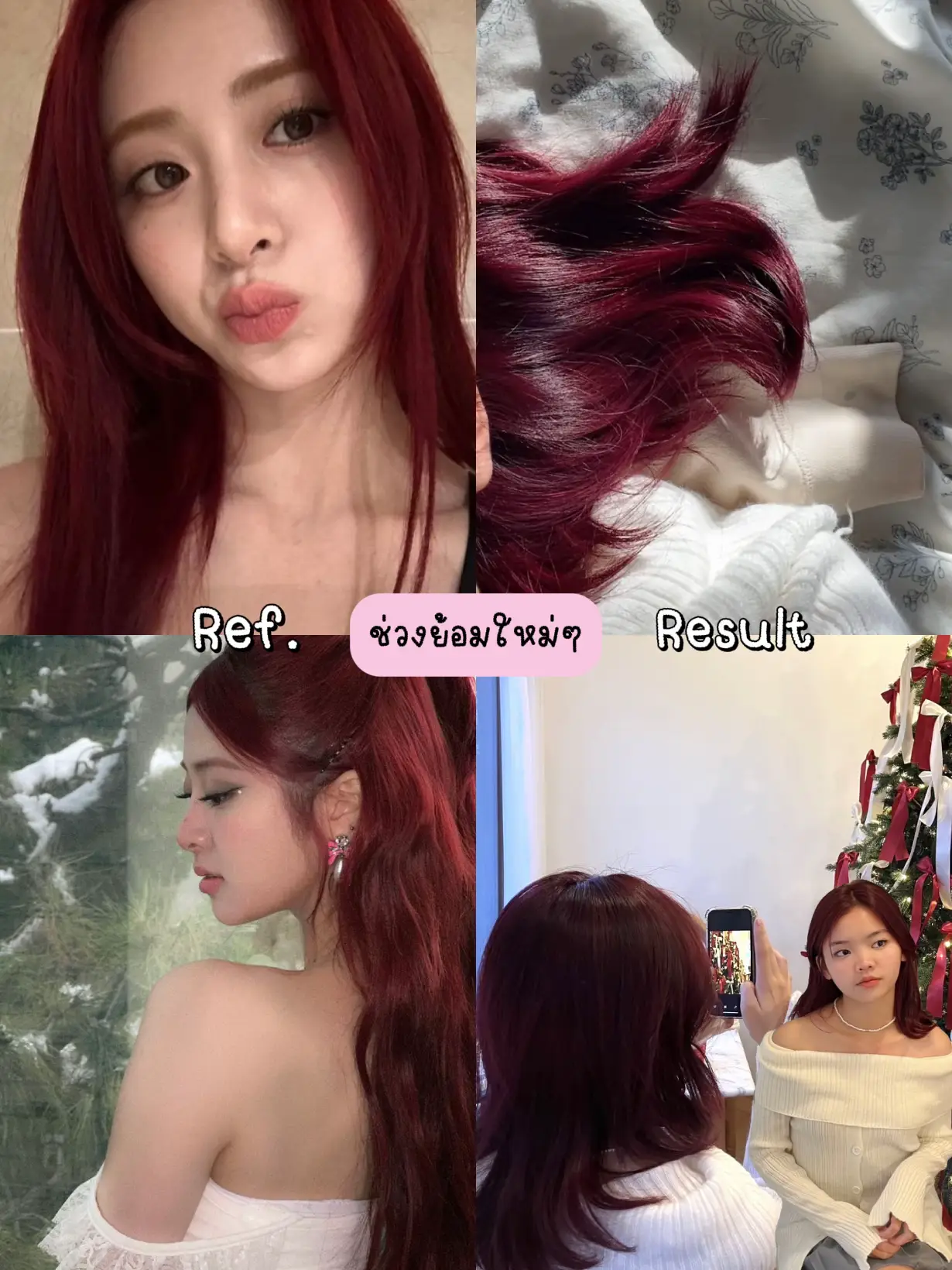 How to ย้อมผมแดง Red Vine🍷🍒 แบบพส.ยุนจิน (งบประหยัด) | แกลเลอรีที่โพสต์โดย merriemoon🌙 | Lemon8
