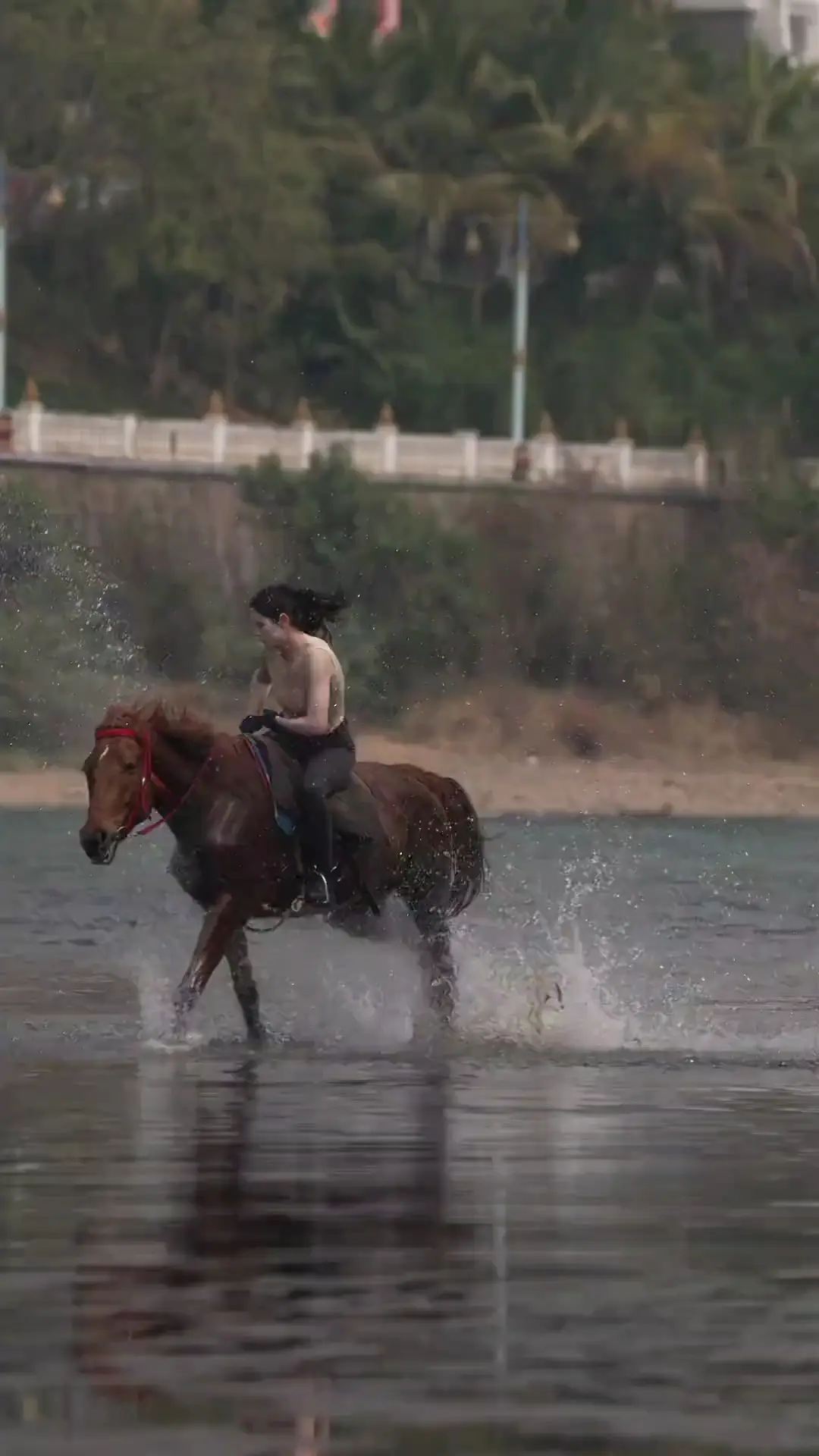 Super Horse Knight | Video diterbitkan oleh KEN | Lemon8