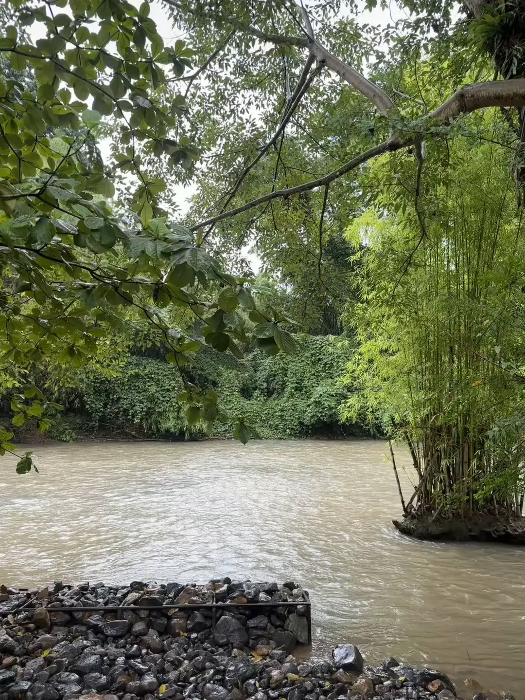 สายฝน สายลม สายน้ำ ธรรมชาติ💚 | วิดีโอที่เผยแพร่โดย Saiparn Sp | Lemon8