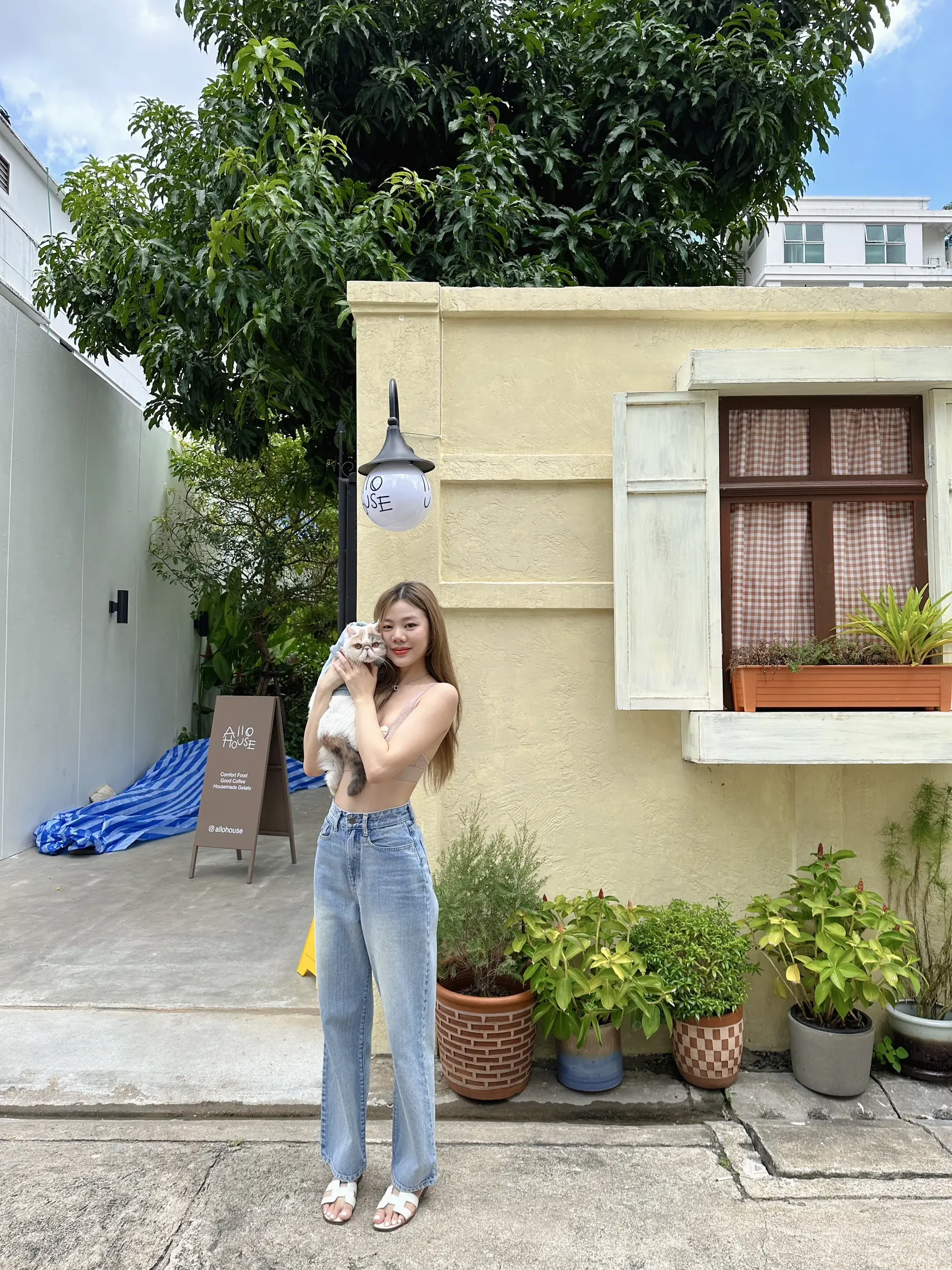 Allo house คาเฟ่เปิดใหม่ใจกลางเมือง🍊🏡 | แกลเลอรีที่โพสต์โดย Praephun 🫧 ...