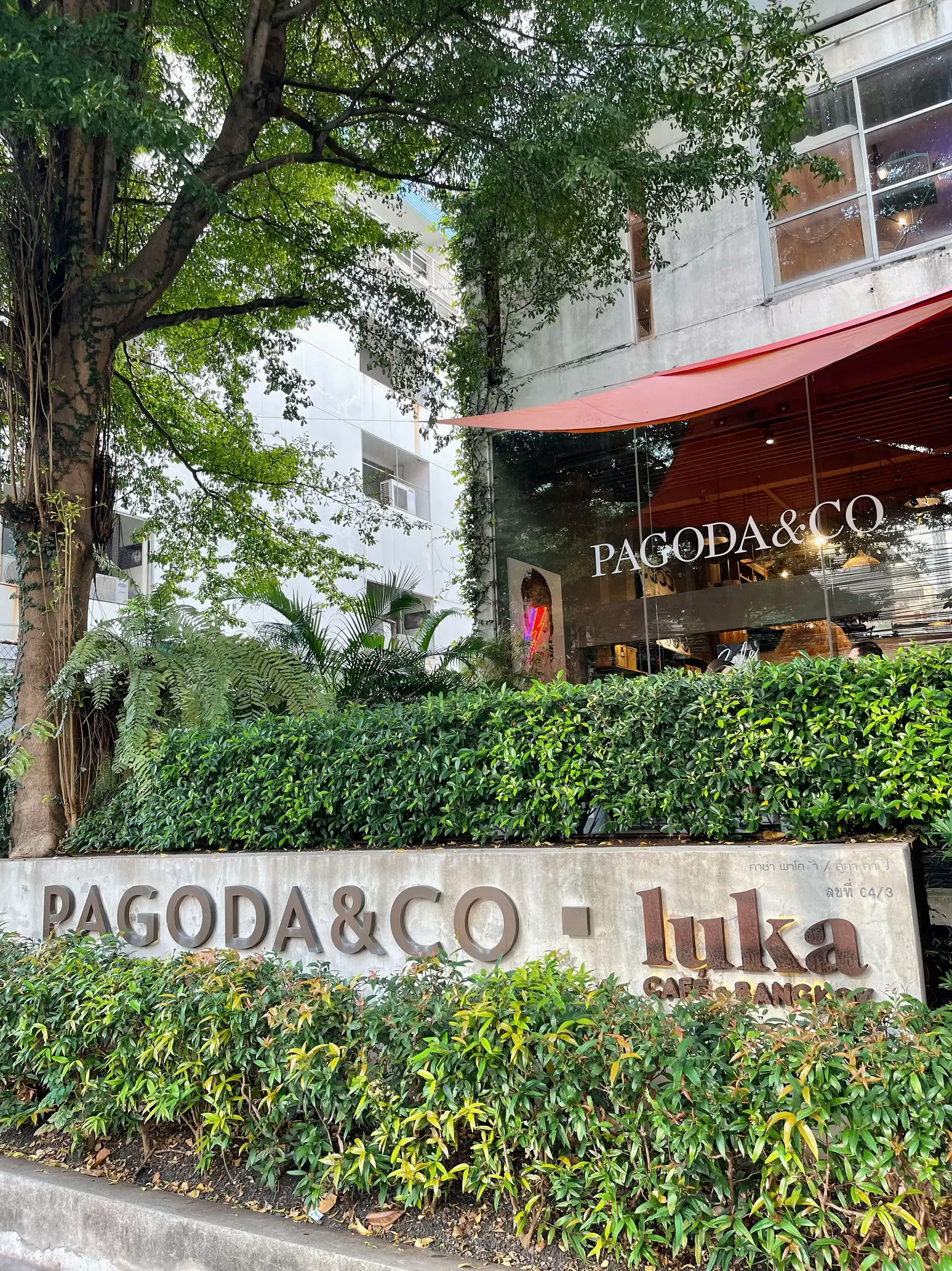 luka สาทร คาเฟ่ vibes ดี จะมาเดทหรือมากับเพื่อนก็เลิศ 🌳🥑🍝 | แกลเลอรีที่โพสต์โดย toffeesrt | Lemon8