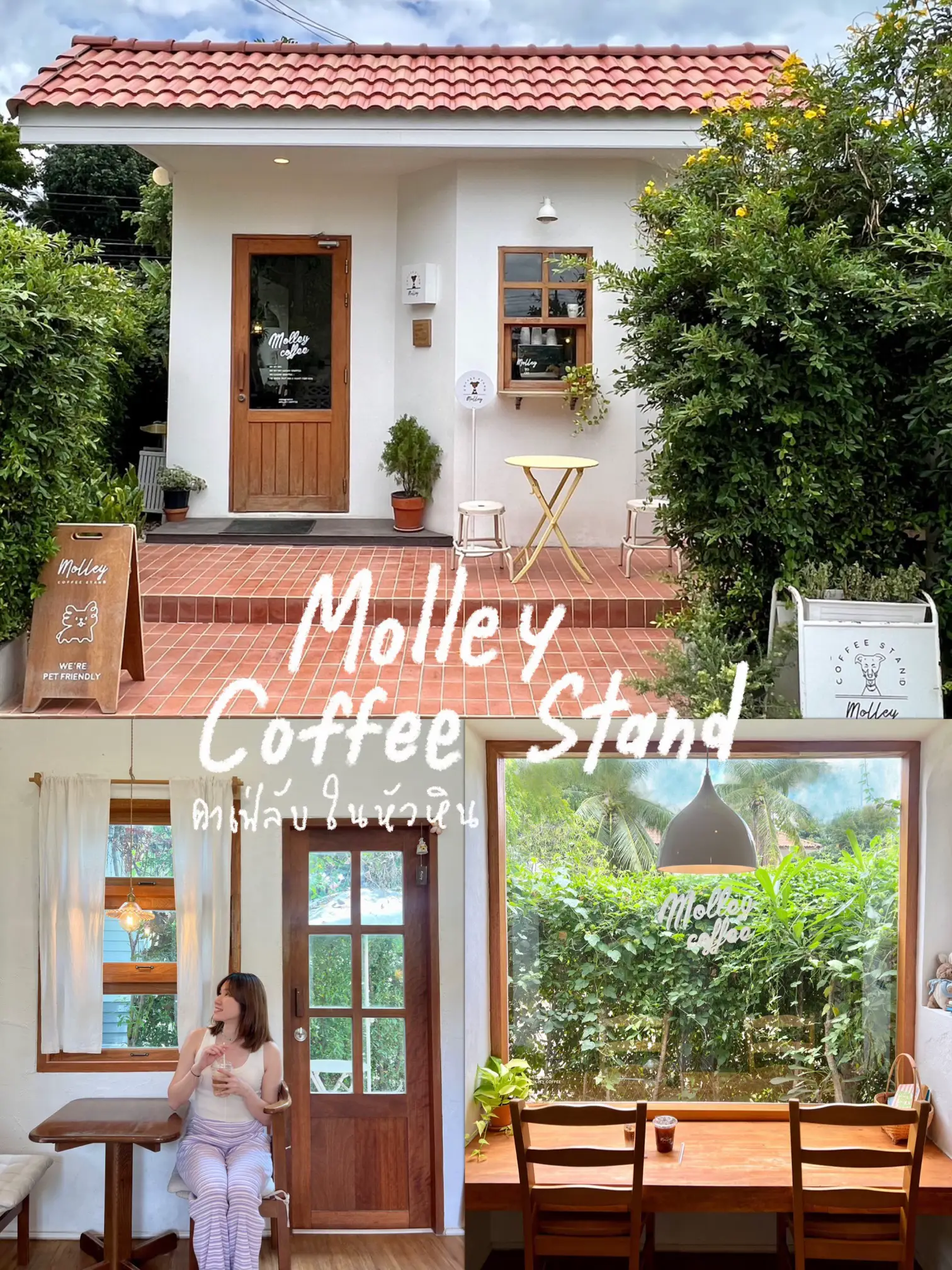 യ Molley Coffee Stand คาเฟ่ลับในหัวหิน คิ้วท์มาก 🌼 | แกลเลอรีที่โพสต์โดย puifainaka | Lemon8