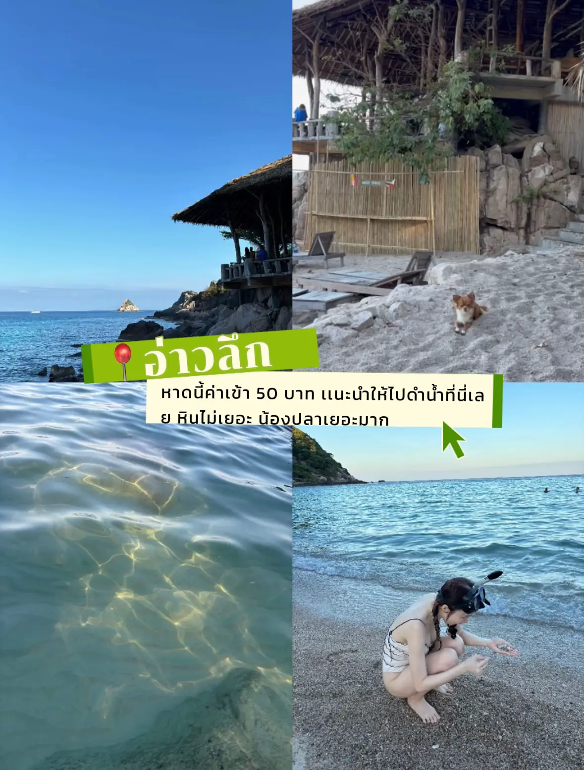 มัดรวมที่เที่ยวที่กินเกาะเต่า ที่ไม่ควรพลาด🐢🫧 | แกลเลอรีที่โพสต์โดย ...