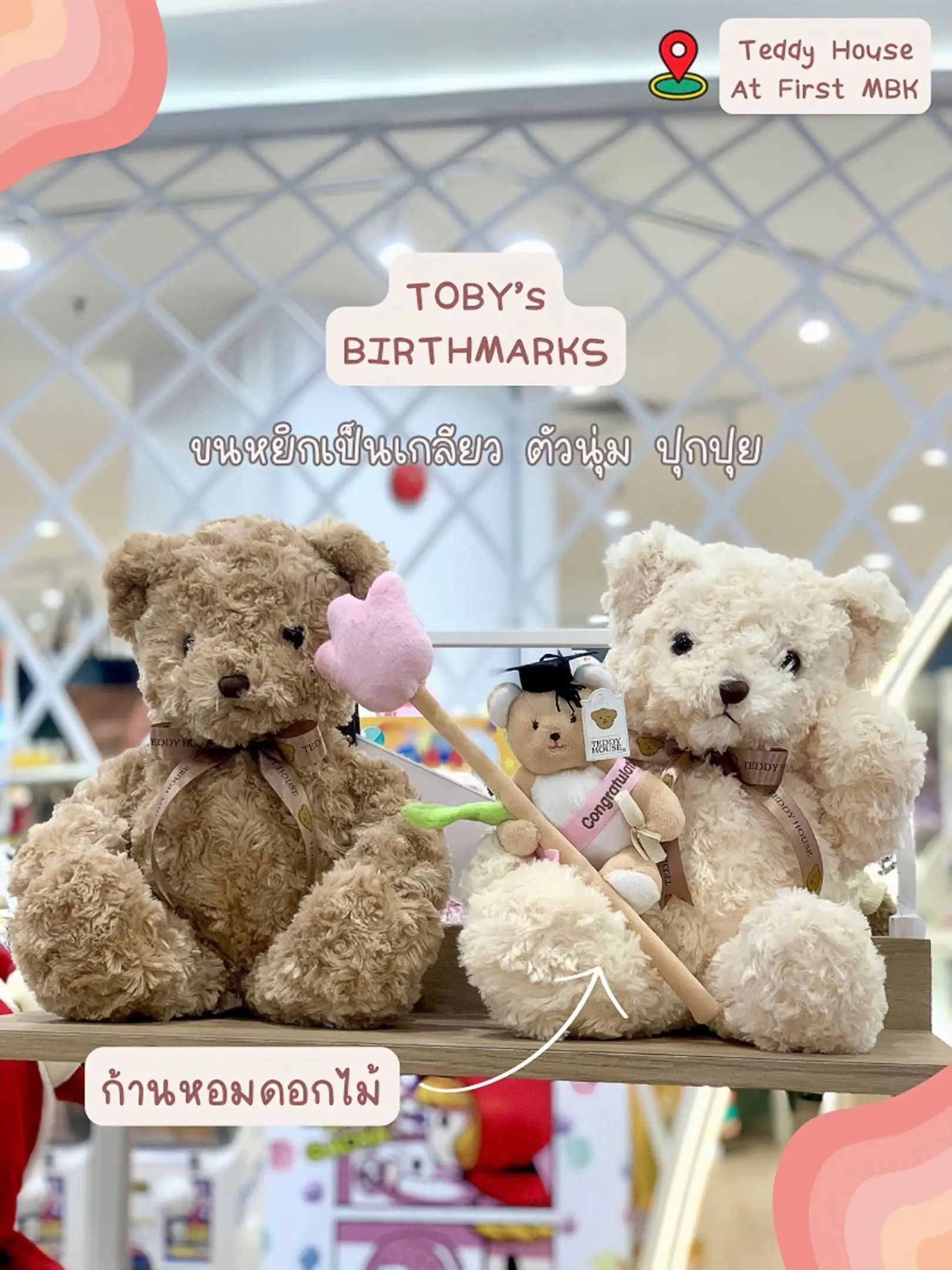 テディハウスがMBKにポップアップストアをオープンしました。 👀 | mewsmeeが投稿したフォトブック | Lemon8