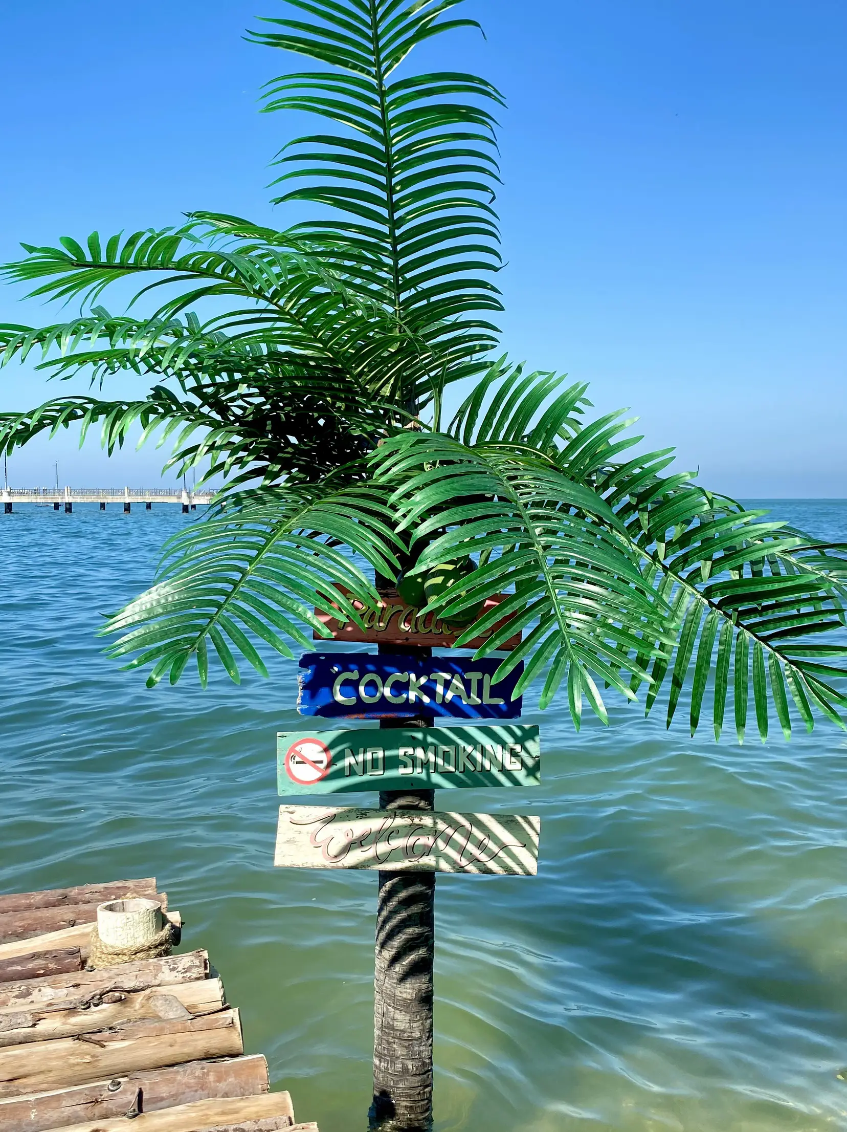 Tiny Island Cafe Bang Saen, Chonburi | แกลเลอรีที่โพสต์โดย hhwannnnnnn | Lemon8