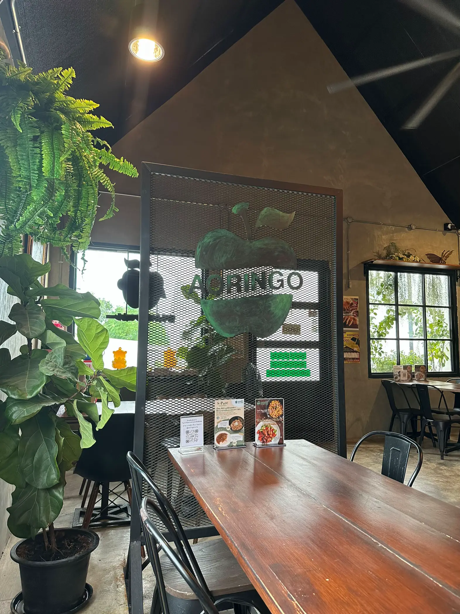 ร้านแกงกะหรี่ Aoringo Japanese Katsu & Curry 🍛 | แกลเลอรีที่โพสต์โดย Fenafern | Lemon8