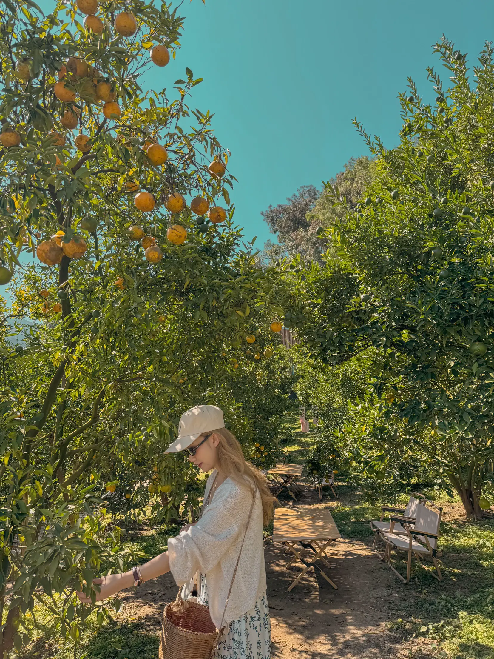 MY GARDEN (Mon Jam, Chiangmai) | แกลเลอรีที่โพสต์โดย Pangpond NTK | Lemon8