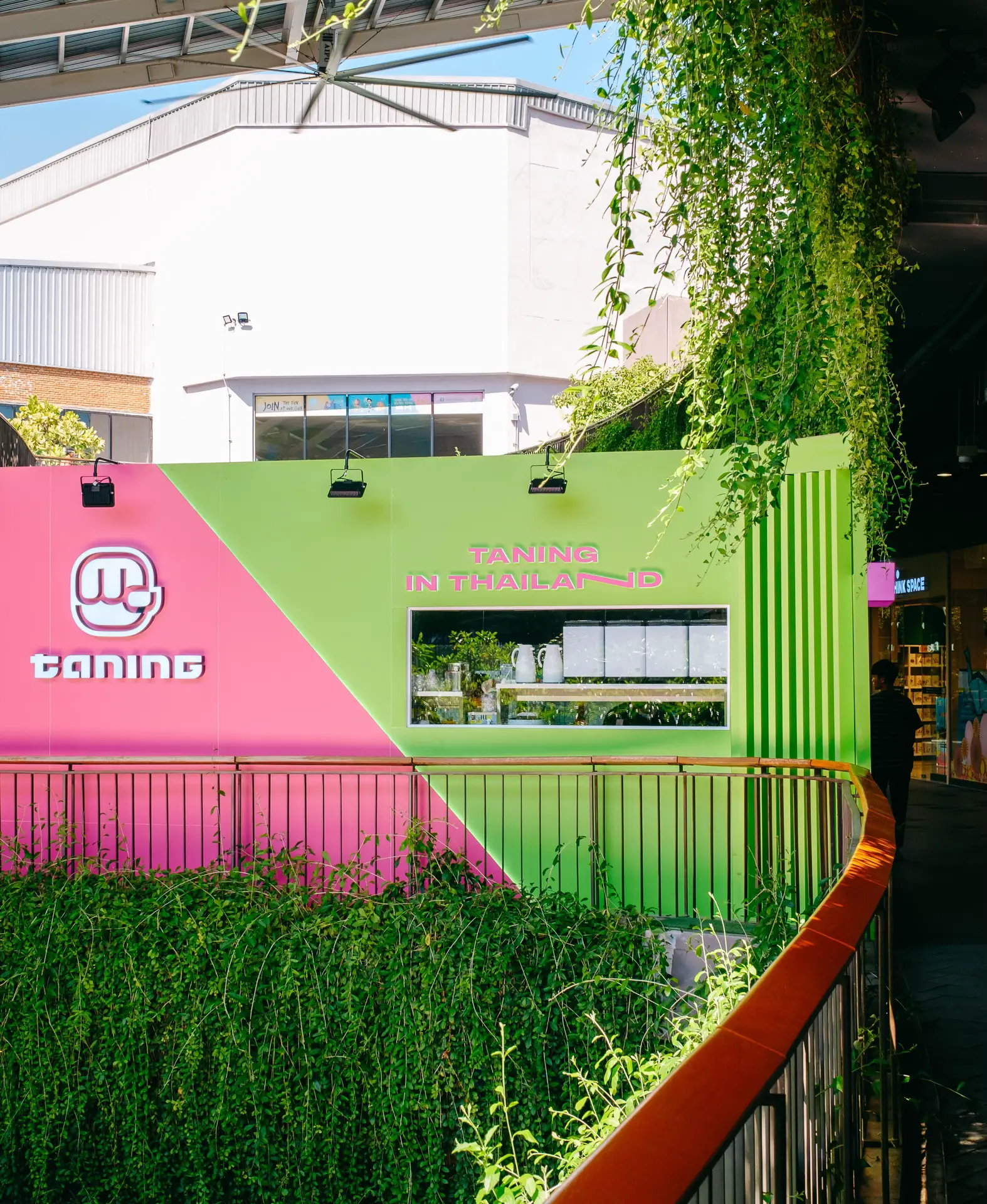 TANING ชามะนาวร้านดังจากจีน สาขาใหม่ Central Eastville | Gallery posted ...