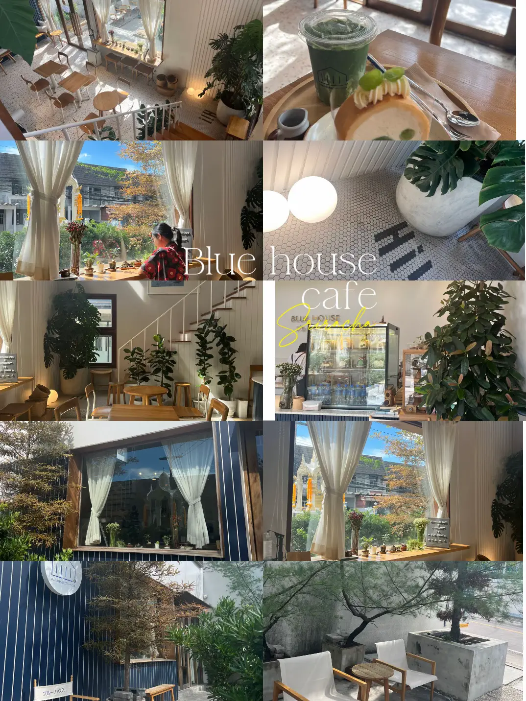 🍋🍵🌲 | แกลเลอรีที่โพสต์โดย Sara Rattanakij | Lemon8