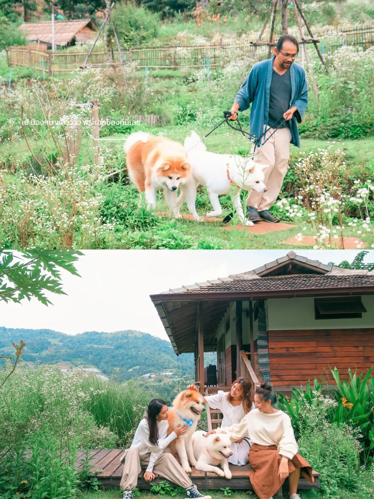 Mori Natural Farm โมริ เนเชอรัลฟาร์ม เชียงใหม่ 🏮🛖 | แกลเลอรีที่โพสต์โดย ...