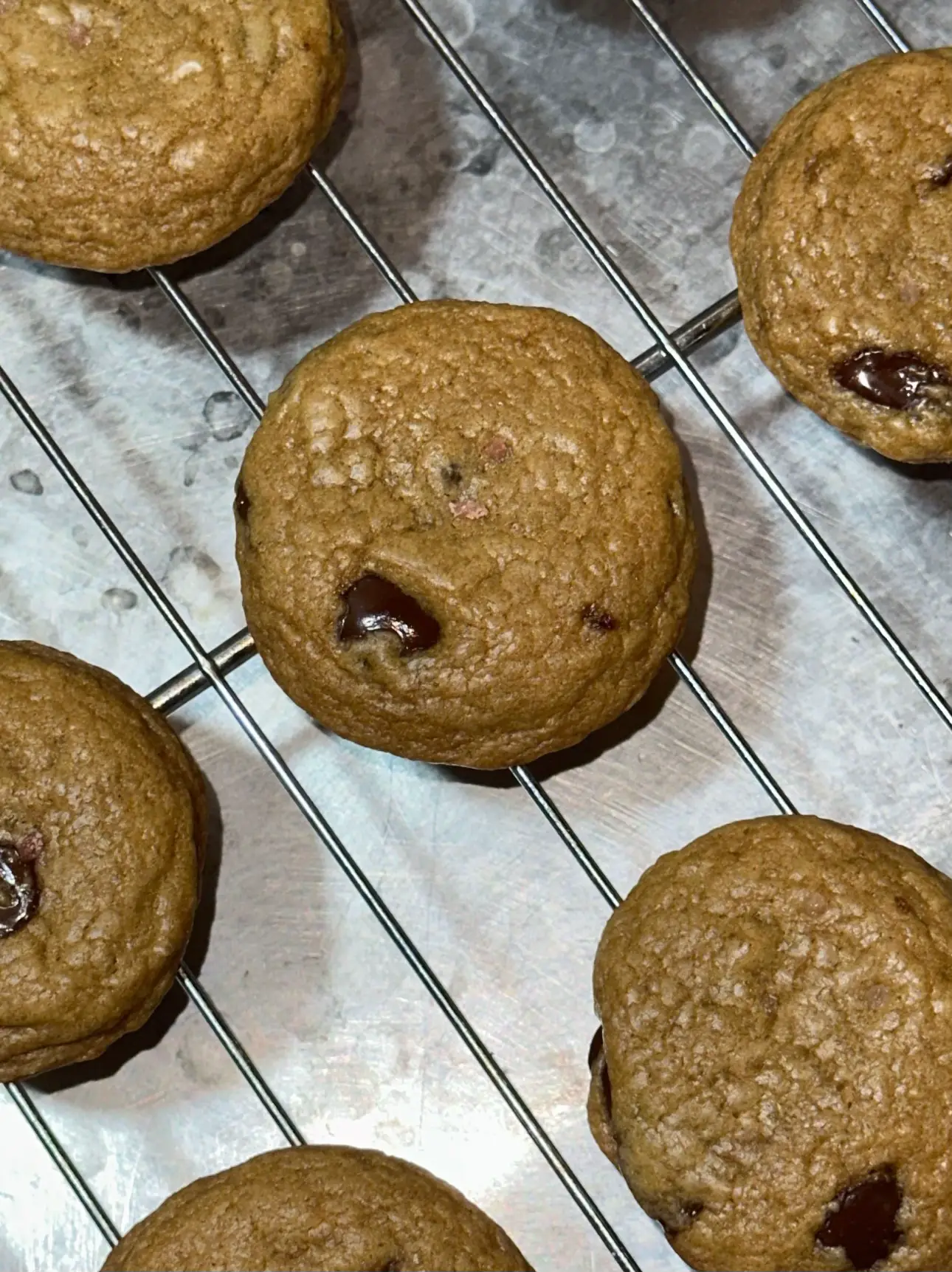 ~Homemade Soft cookies ~ นุ่ม..หนึบ.. ฉ่ำช็อกโกแลตมาก🍪 | แกลเลอรีที่ ...