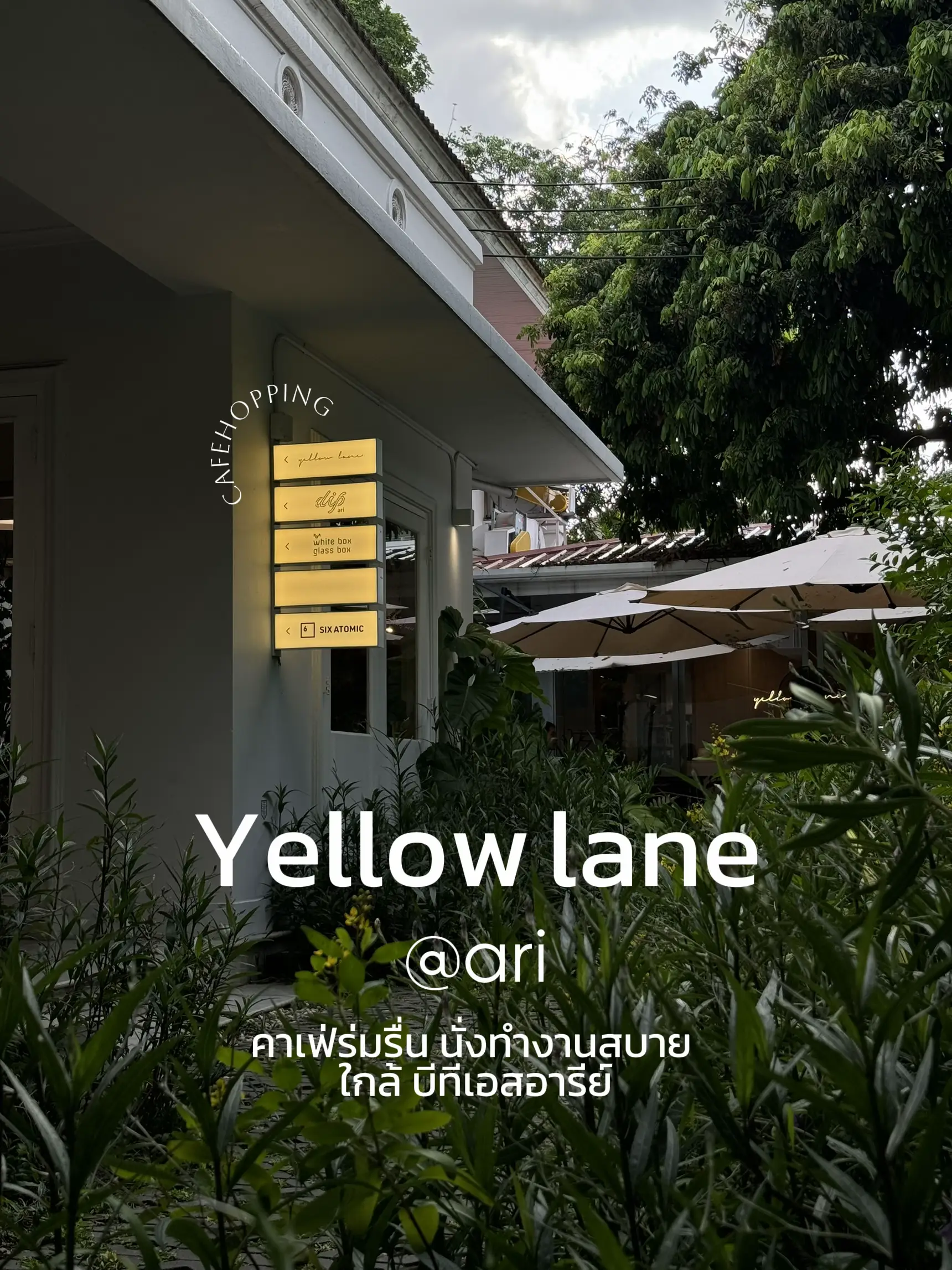 Yellow lane community cafe ย่านอารีย์ | แกลเลอรีที่โพสต์โดย chain | Lemon8