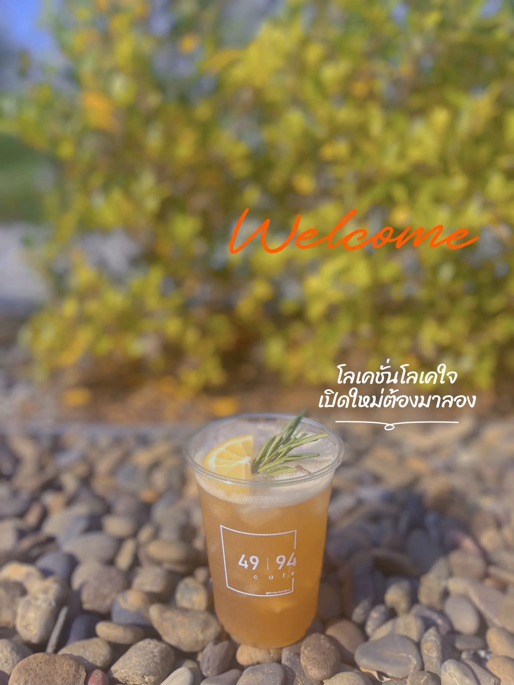 CACAO TEA HONEY LEMON 🍯🍋 | แกลเลอรีที่โพสต์โดย S’por Zer 🧚🏻 | Lemon8