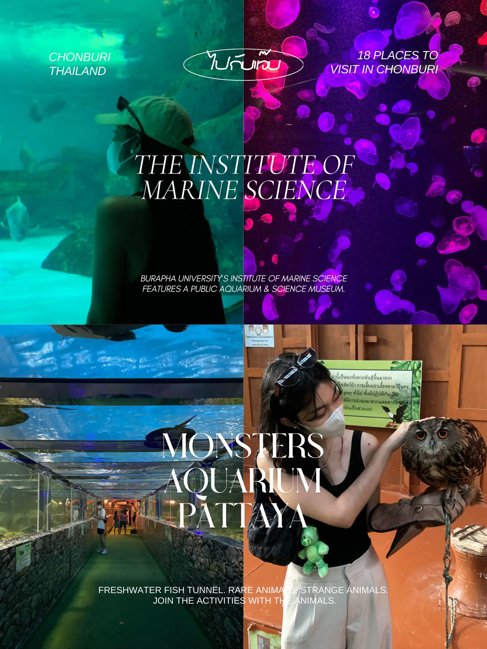 18 ที่เที่ยวในชลบุรี 🌊💖 | แกลเลอรีที่โพสต์โดย ไปกับแจ๊บ | GWJ | Lemon8