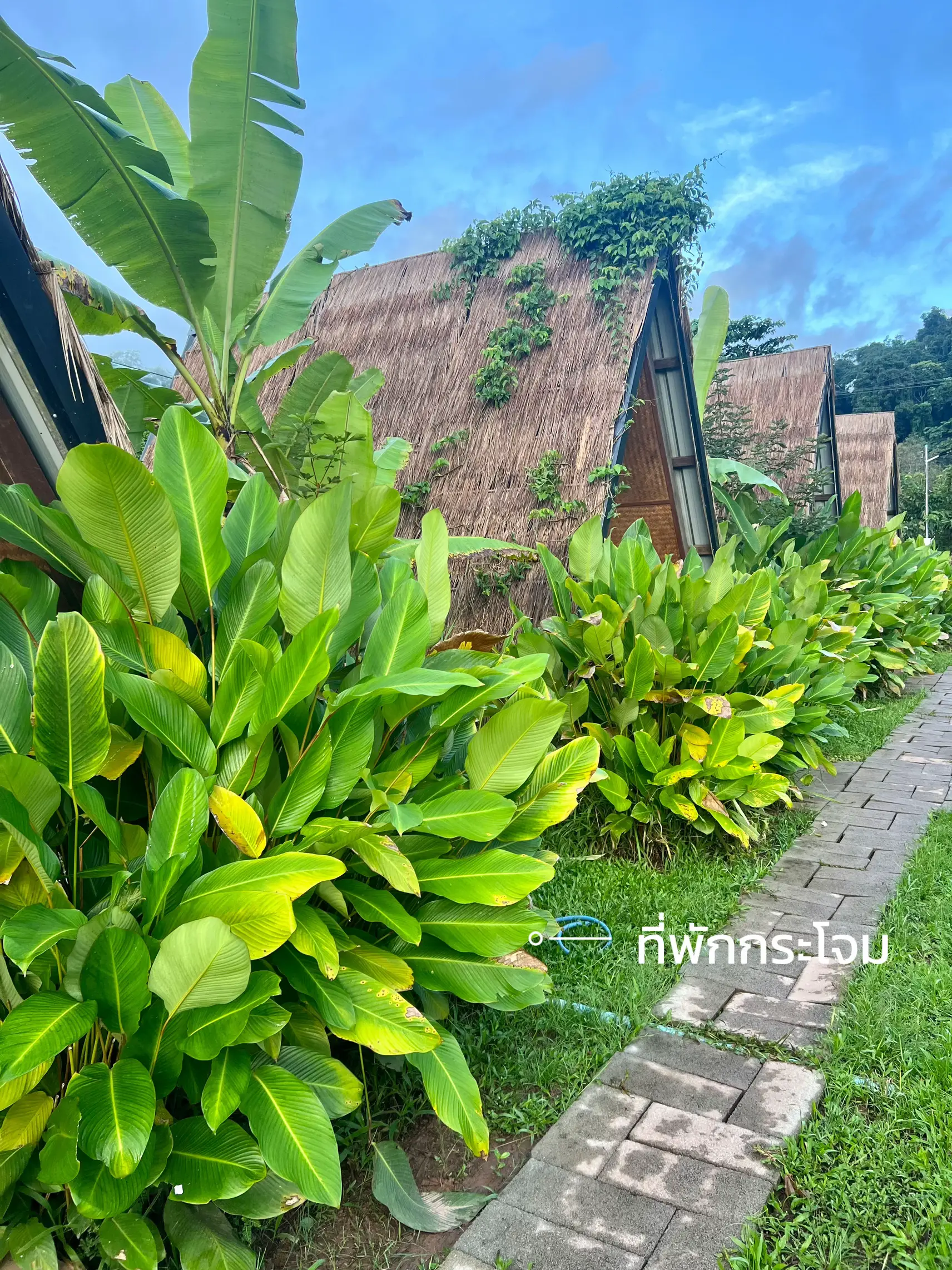 ที่พัก สะปัน คีรีแคมป์ น่าน | แกลเลอรีที่โพสต์โดย Noona_aaa | Lemon8