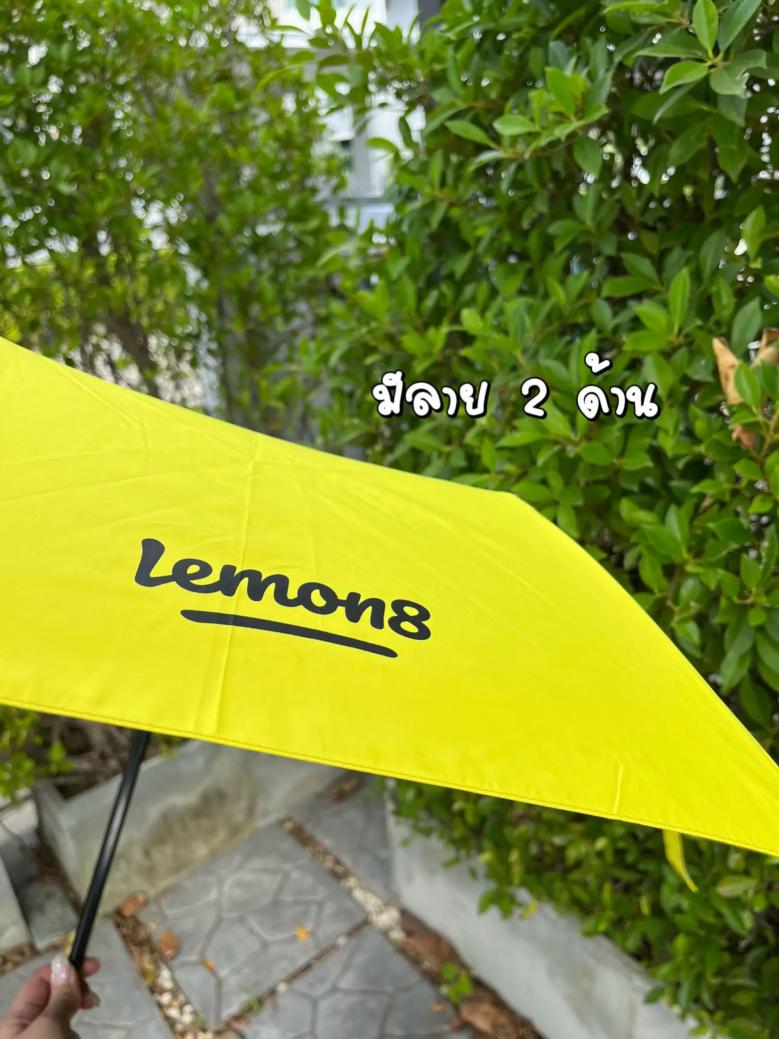 ได้รับรางวัลจาก lemon8 : หัวข้อ Strom challenge ☔️🍋😊 | แกลเลอรีที่โพสต์โดย C-GAME🍋 | Lemon8