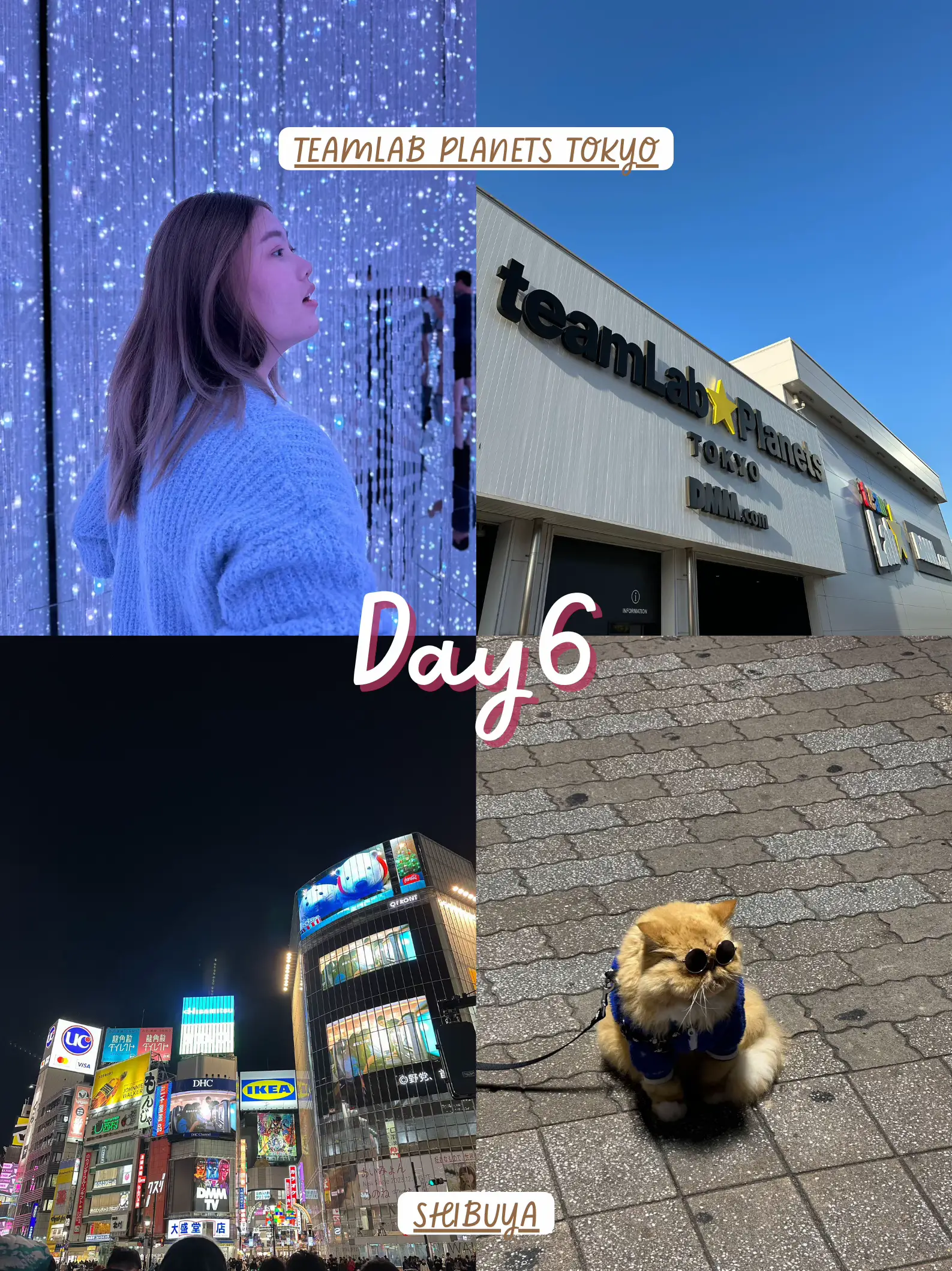 แจกแพลนเที่ยวญี่ปุ่น osaka - tokyo japan 2023🇯🇵 | แกลเลอรีที่โพสต์โดย mmew.ww | Lemon8