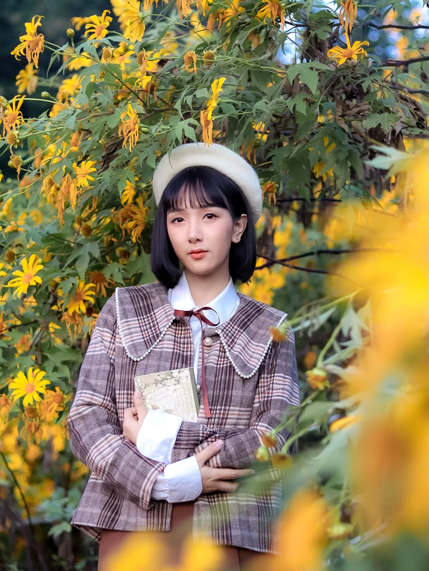 ดอกบัวตอง • เชียงราย • | แกลเลอรีที่โพสต์โดย Pretty Clear 🌷 | Lemon8