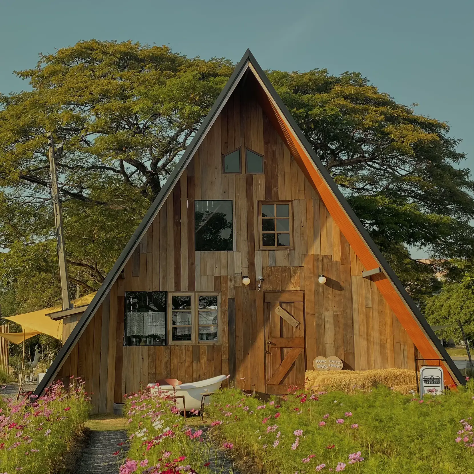 Faifo Forest • korat 🌸📸 #ไฟโฟ่ส่งท้ายซีซั่นสาม | แกลเลอรีที่โพสต์โดย เพจไปกับลุง | Lemon8