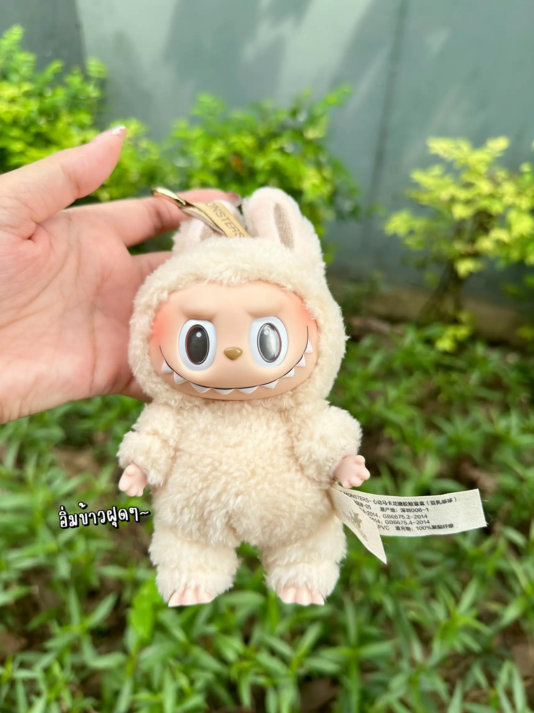 19 ไอเดียยอดนิยมเกี่ยวกับ Labubu กล่องใสกับซอง ในปี 2024