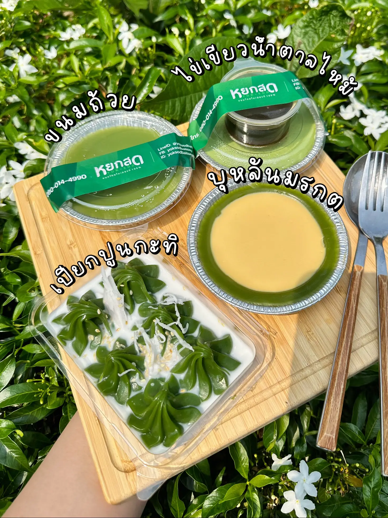 😋พาทานขนมหวานใบเตย Yoksod🍵👀อร่อย หอม หวานกำลังดี 🌼💫 | แกลเลอรีที่โพสต์ ...