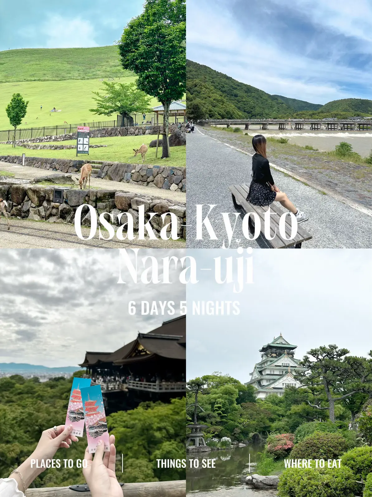 📌แจกแพลนเที่ยว OSAKA KYOTO UJI NARA 6 วัน! 🌷🌸🇯🇵💝 | แกลเลอรีที่โพสต์โดย Jubpa Pannara | Lemon8