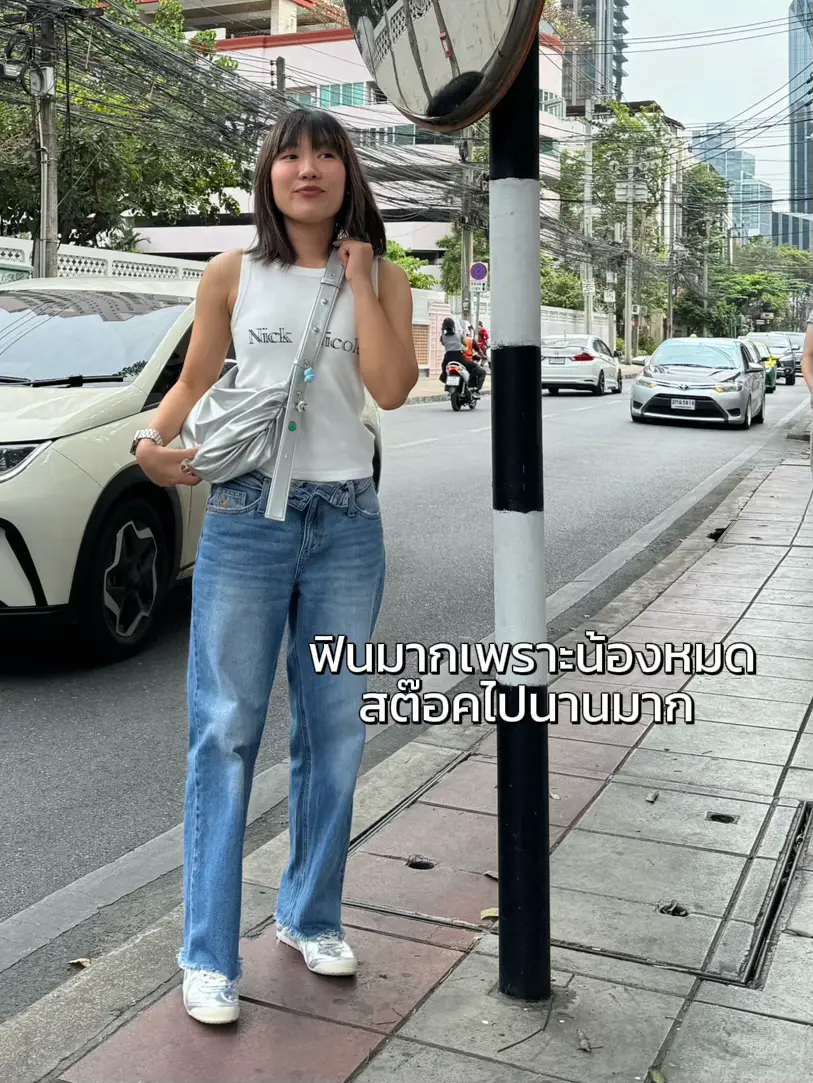 Silver Wolf ราคา - การค้นหาใน Lemon8