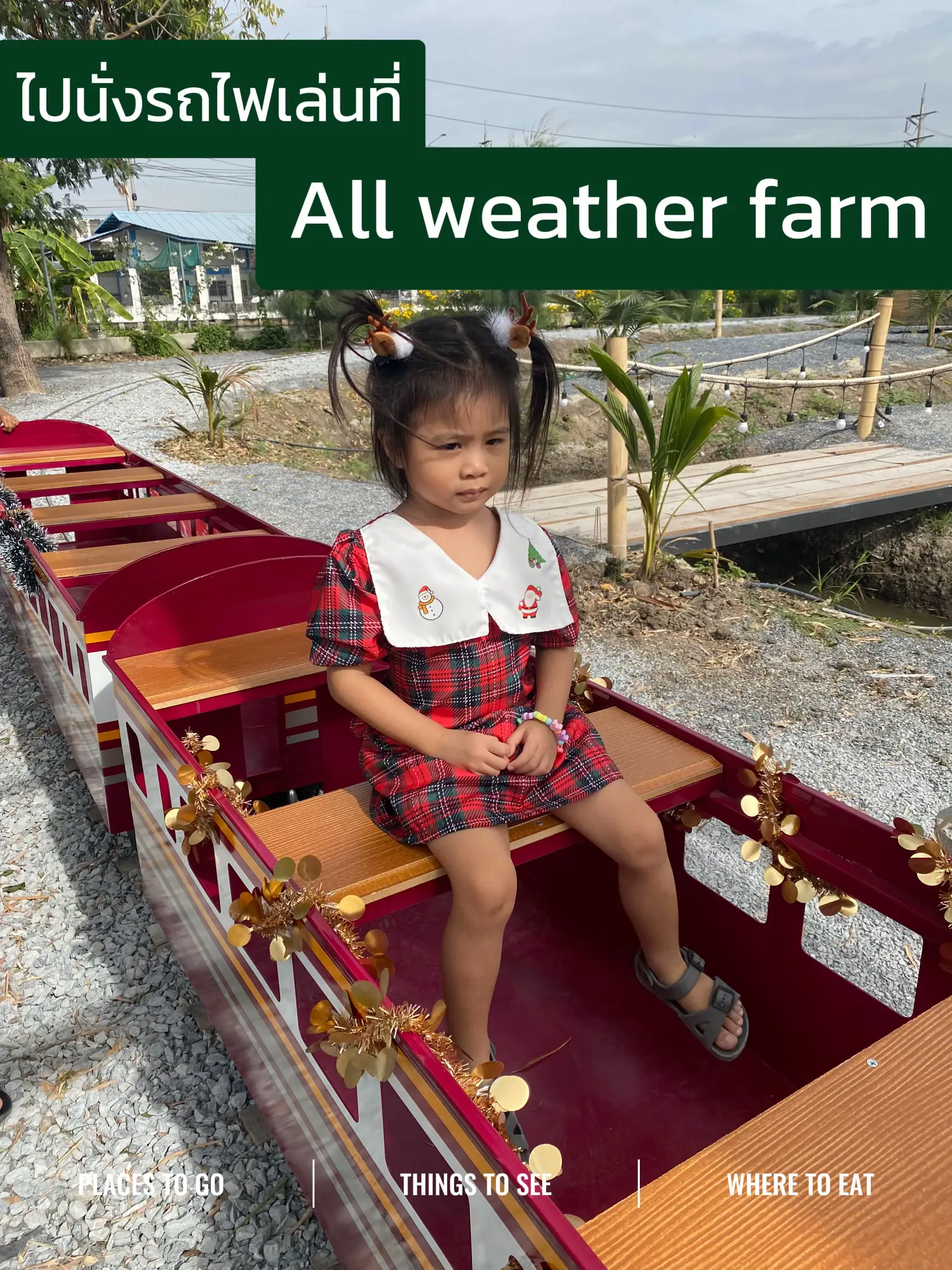 พาลูกไปนั่งรถไฟจิ๋วที่ All weather farm🥬 | แกลเลอรีที่โพสต์โดย คุณแม่ ...