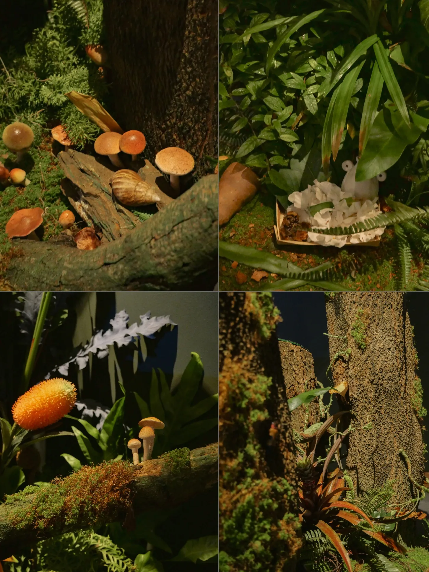 Forest Scent - Unveil Your Mystery ป่า และ น้ำหอม | แกลเลอรีที่โพสต์โดย ...