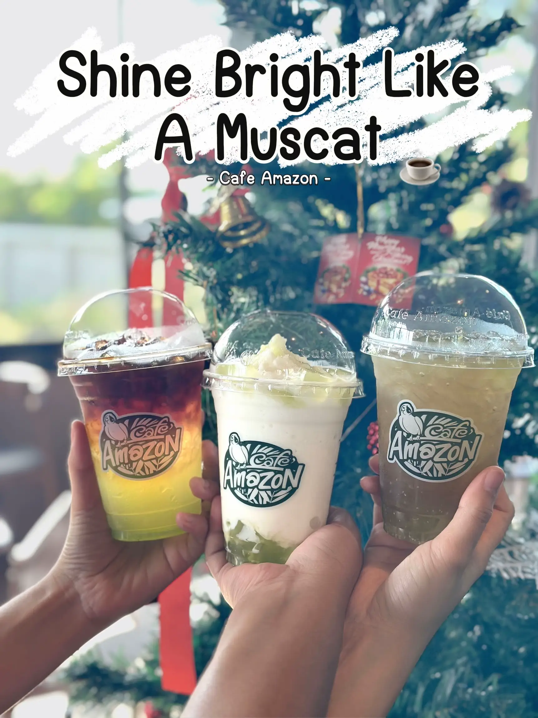 Café Amazon ออกเมนูใหม่ต้อนรับต้นปี😍🧊🍵🌱💚 | แกลเลอรีที่โพสต์โดย nnewsrp⊹ ...