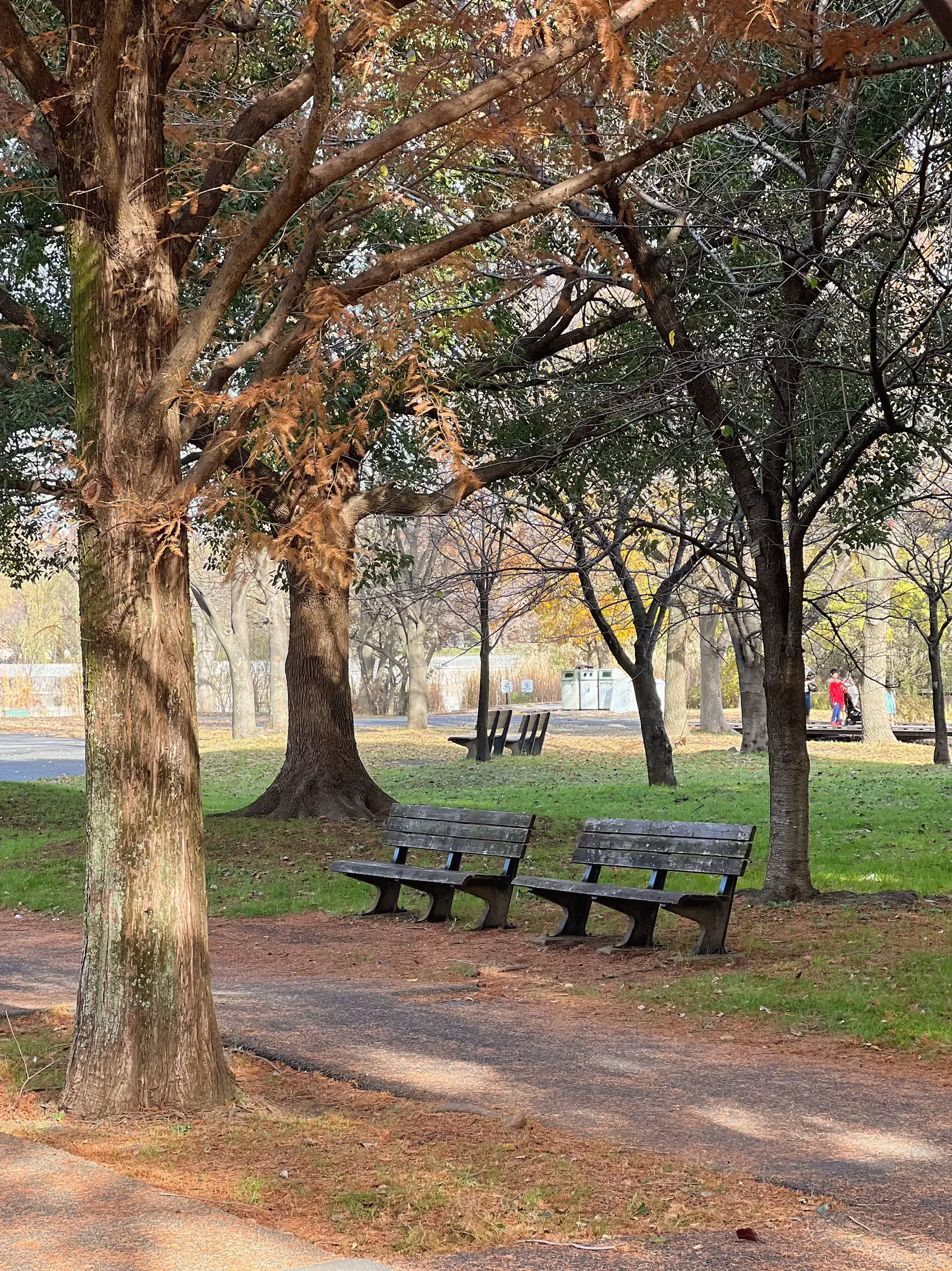 กิจกรรมสายชิลปิคนิคสวนในญี่ปุ่น | Tonari park in Japan 🍂🍁🎌 | แกลเลอรีที่โพสต์โดย Tiwa | Lemon8