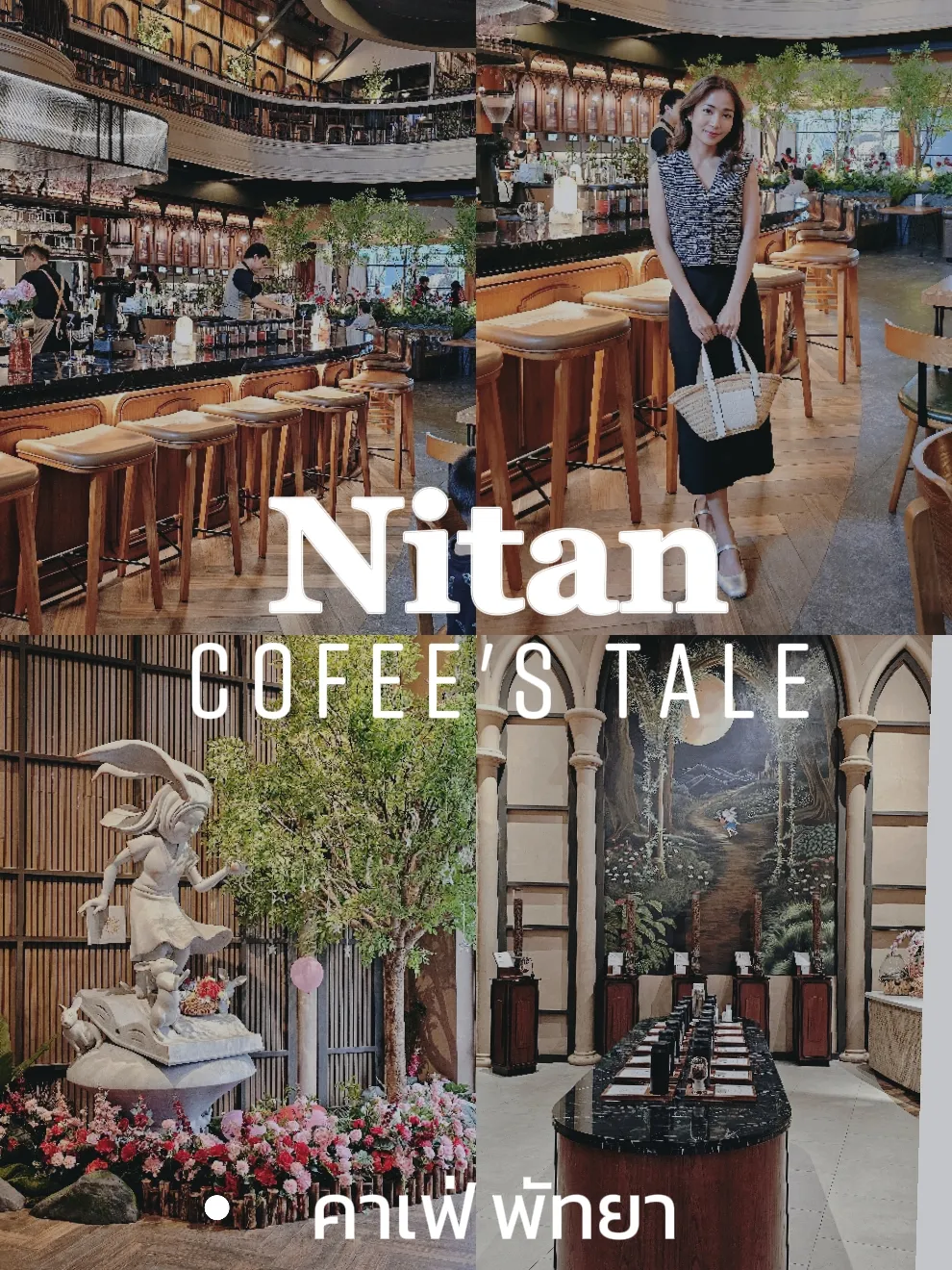 ขับรถหลงเข้าไปใน Nitan Cofee's Tale ว๊าวมากกก | แกลเลอรีที่โพสต์โดย คุณ ...