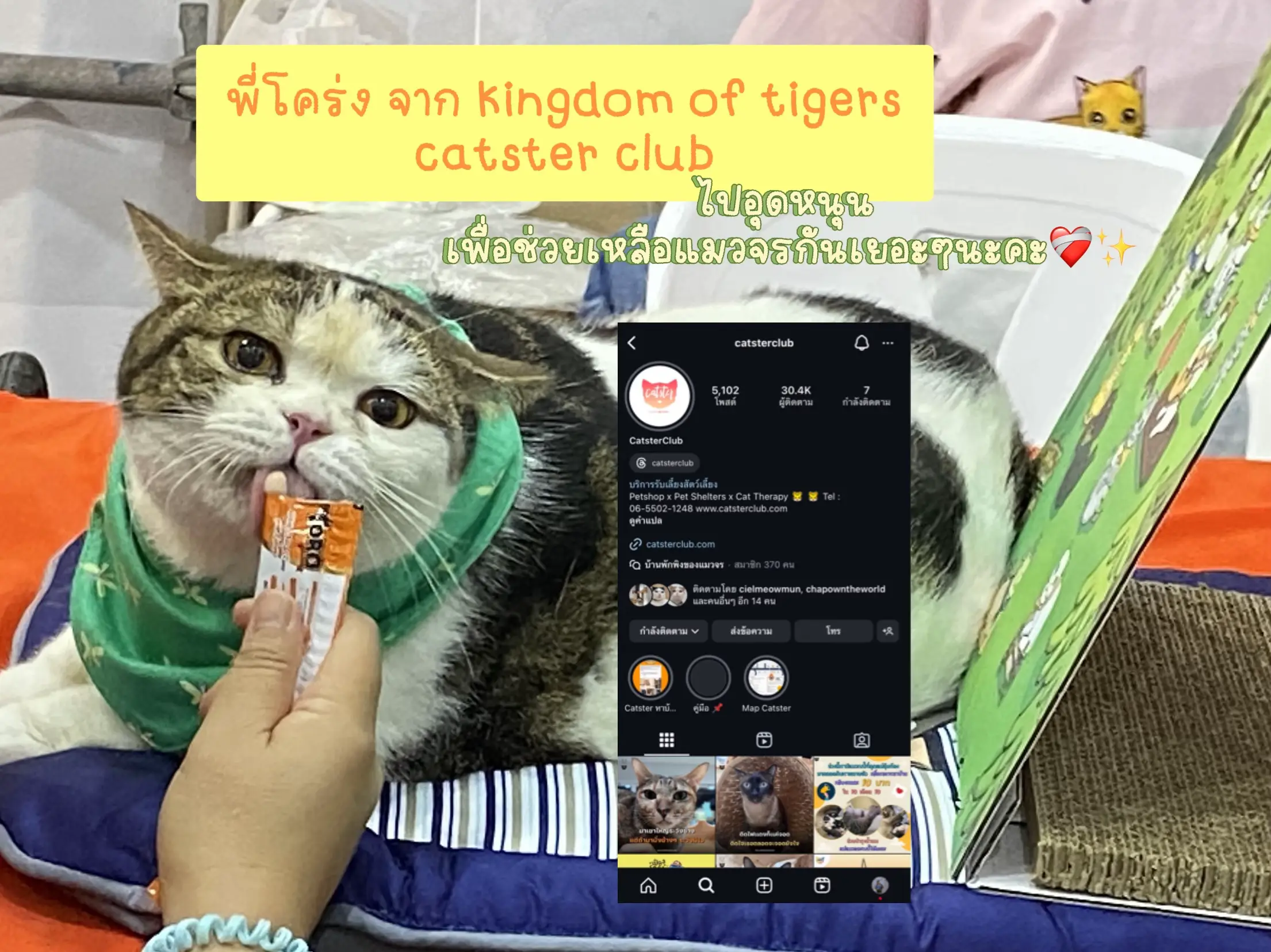 ฮีลใจที่ เปิดโกดัง3 Gluta Story ️‍🩹 | แกลเลอรีที่โพสต์โดย ไปไหน ใกล้ฉัน ...